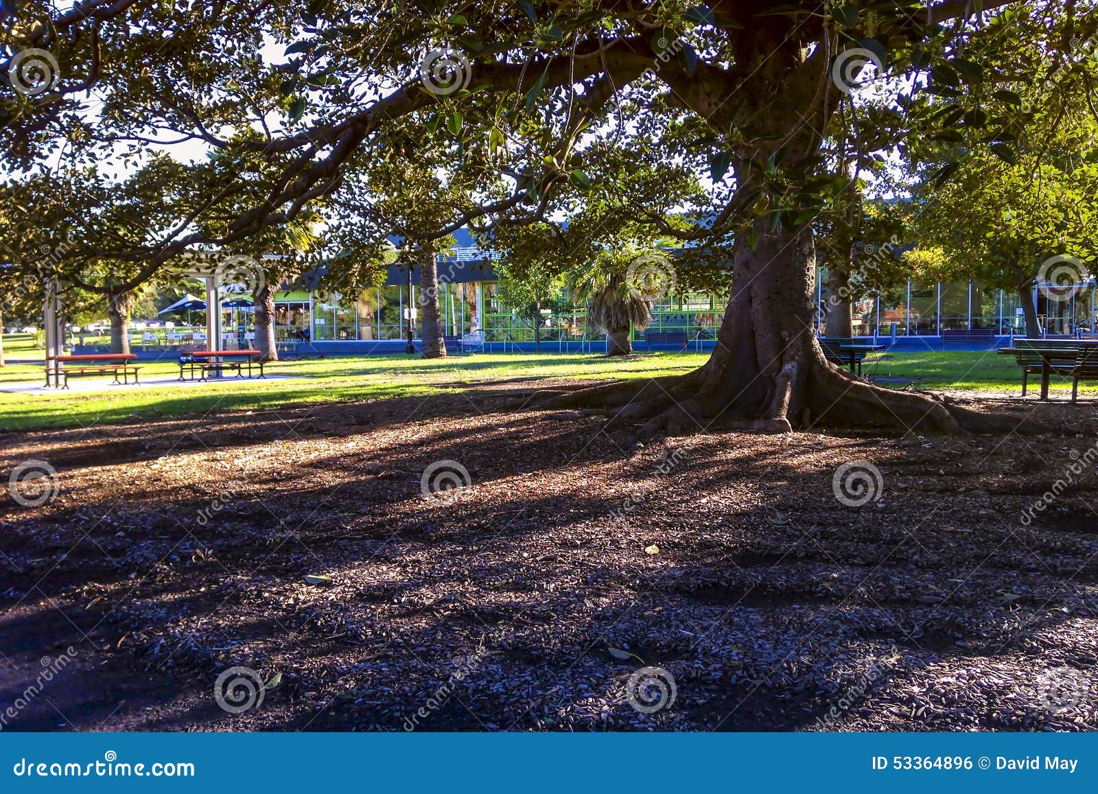 Low Winter Sun Casting Long Shadows Stock Photo - Image of building ...