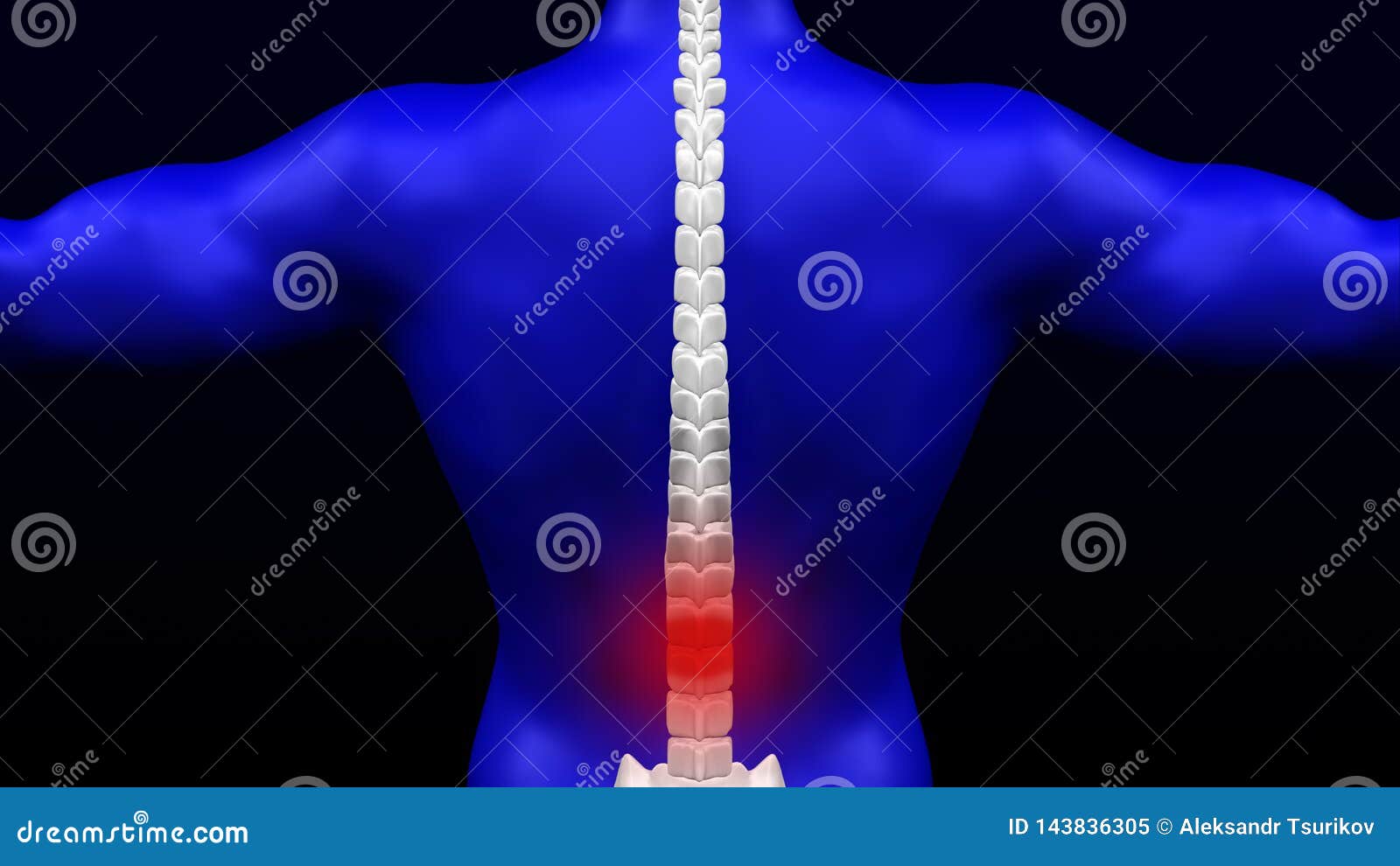 Lower Back Pain. 3D Rendering Stock Illustration - Illustration of ...
