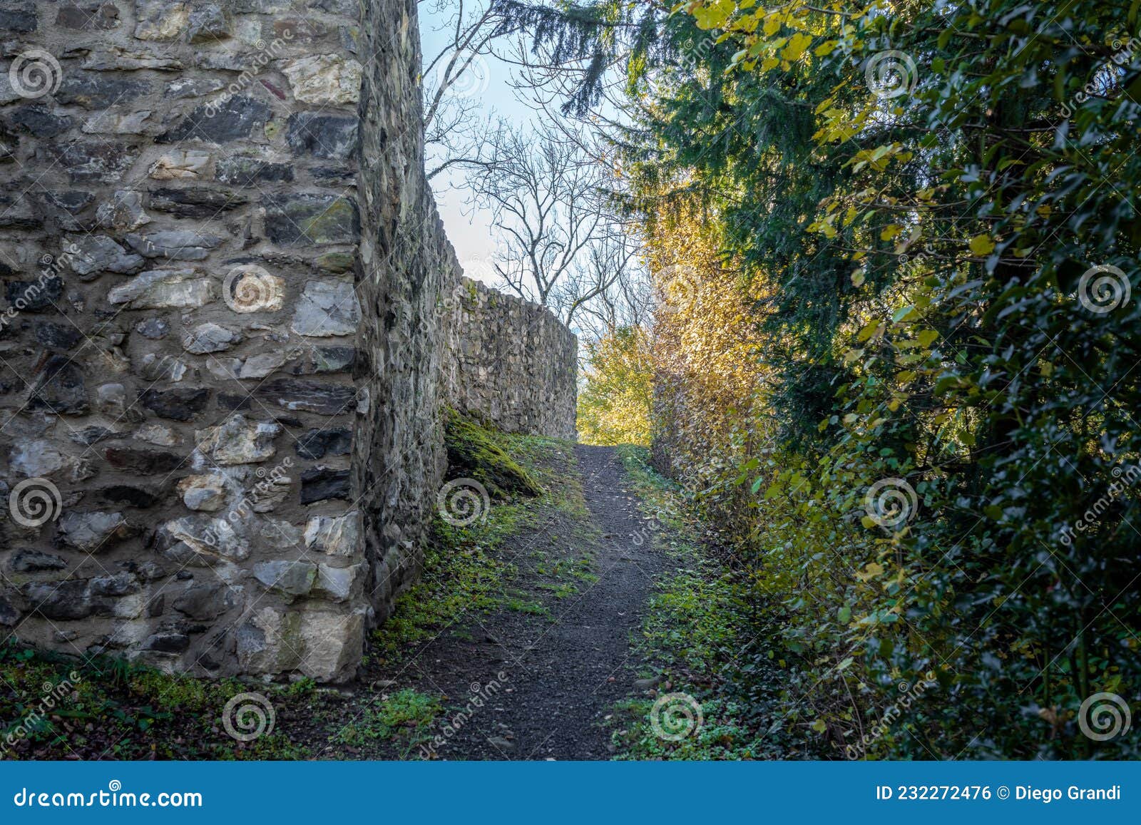 Lower Castle Ruins Untere Burg - Schellenberg, Liechtenstein Stock ...