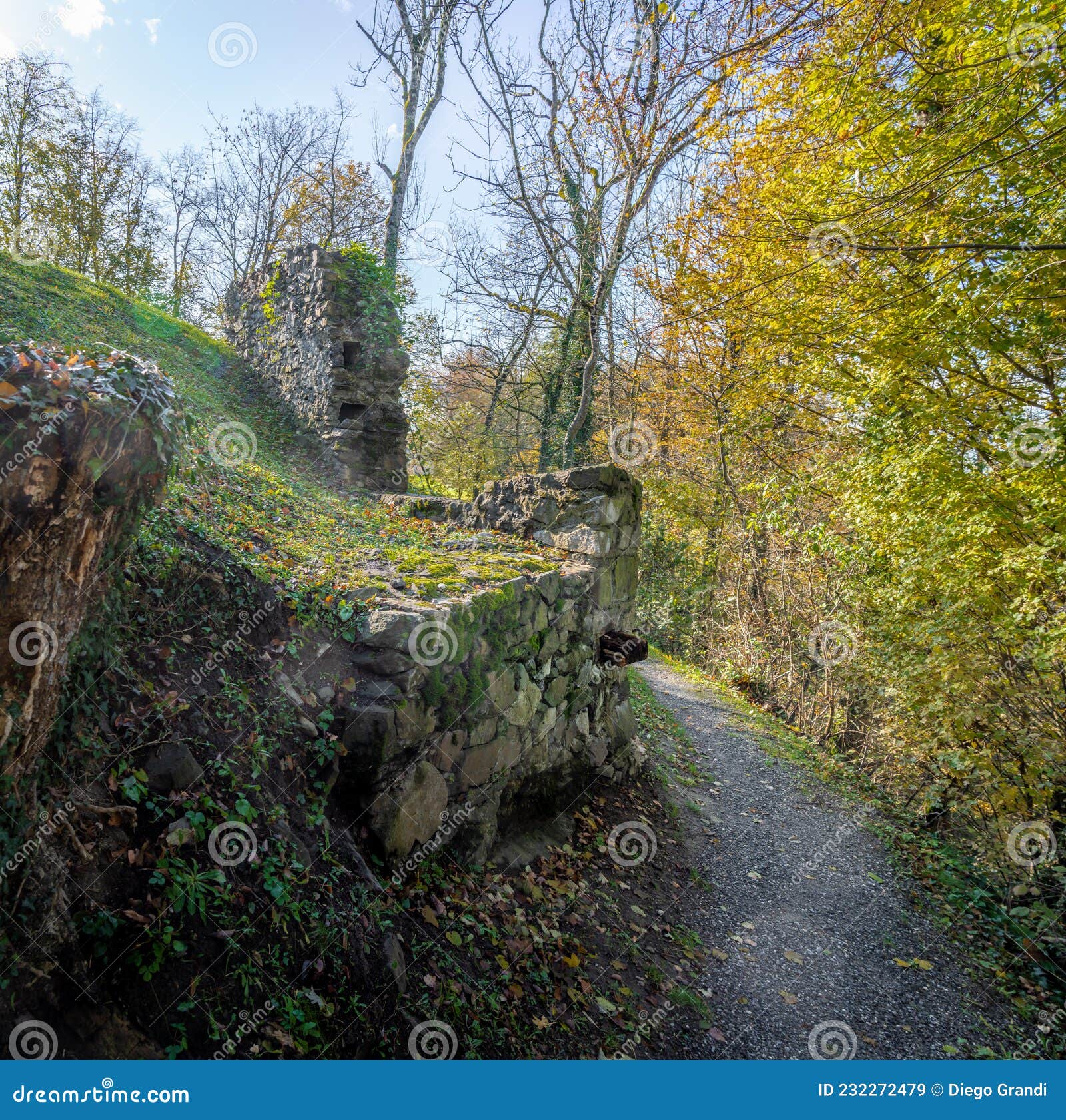 Lower Castle Ruins Untere Burg - Schellenberg, Liechtenstein Stock ...