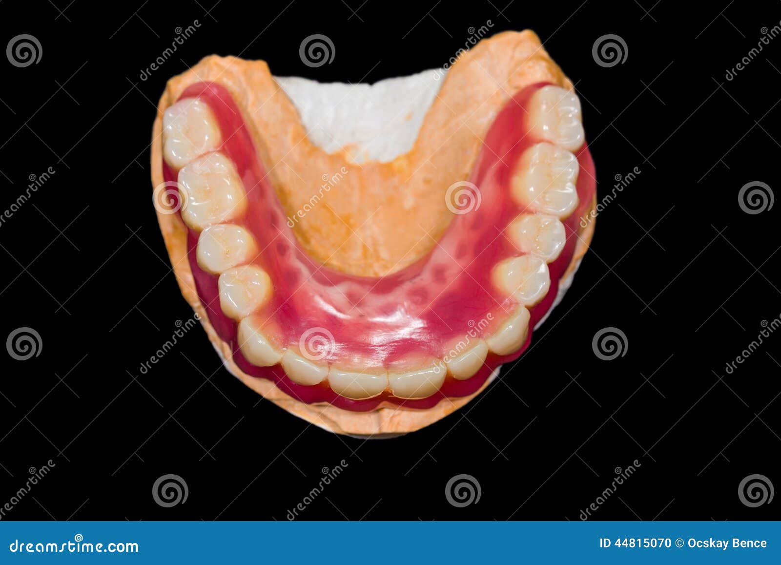 Lower denture stock photo. Image of health, crown, detail - 44815070