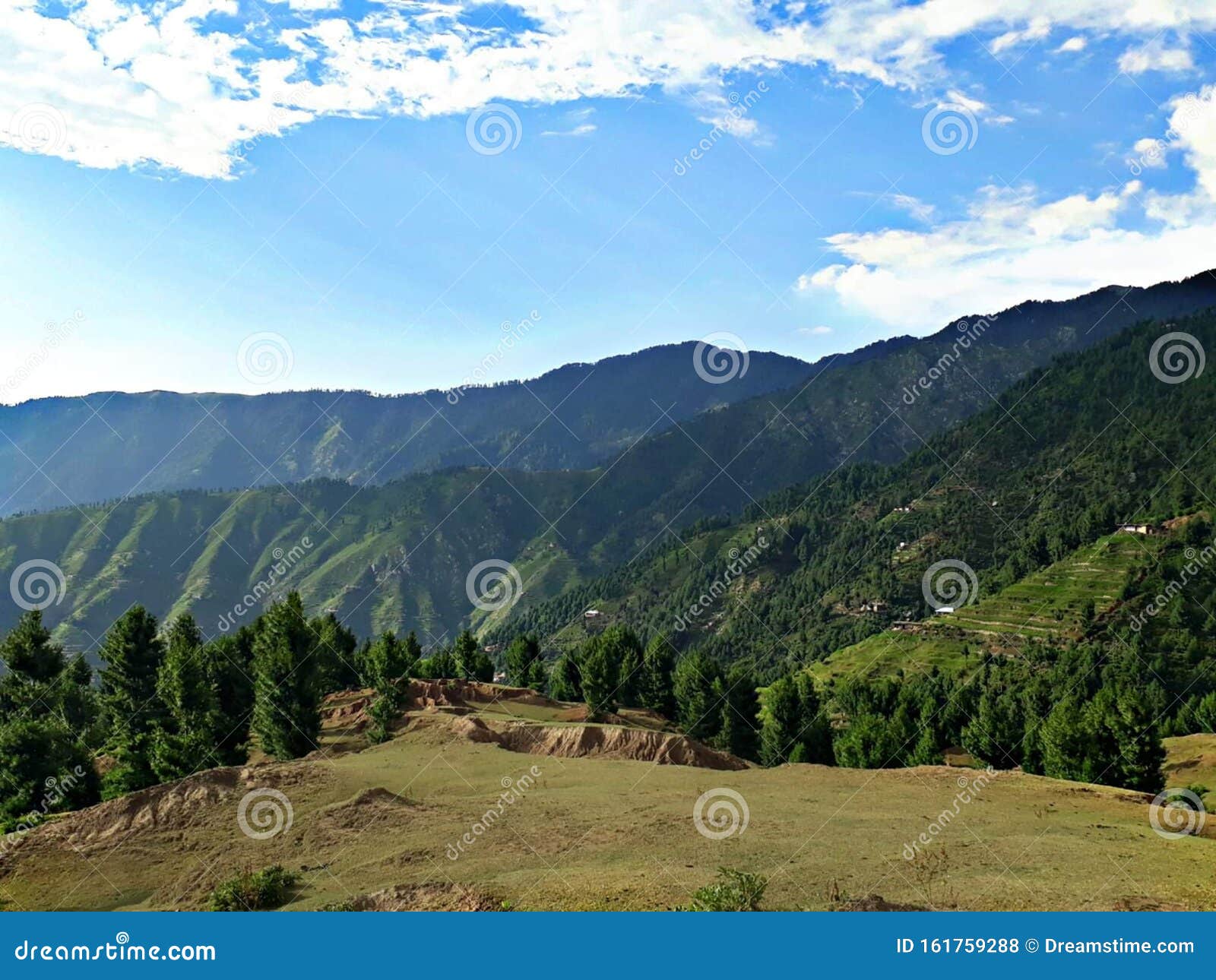 Lower Dir Forest Large is Large Stock Photo - Image of lower, large ...