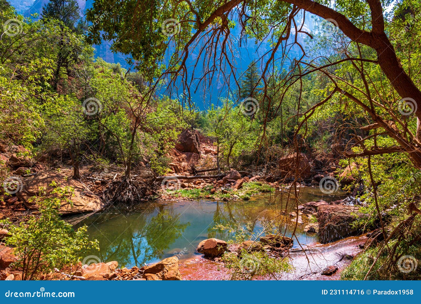Lower Emerald Pool in Zion National Park Stock Photo - Image of road ...