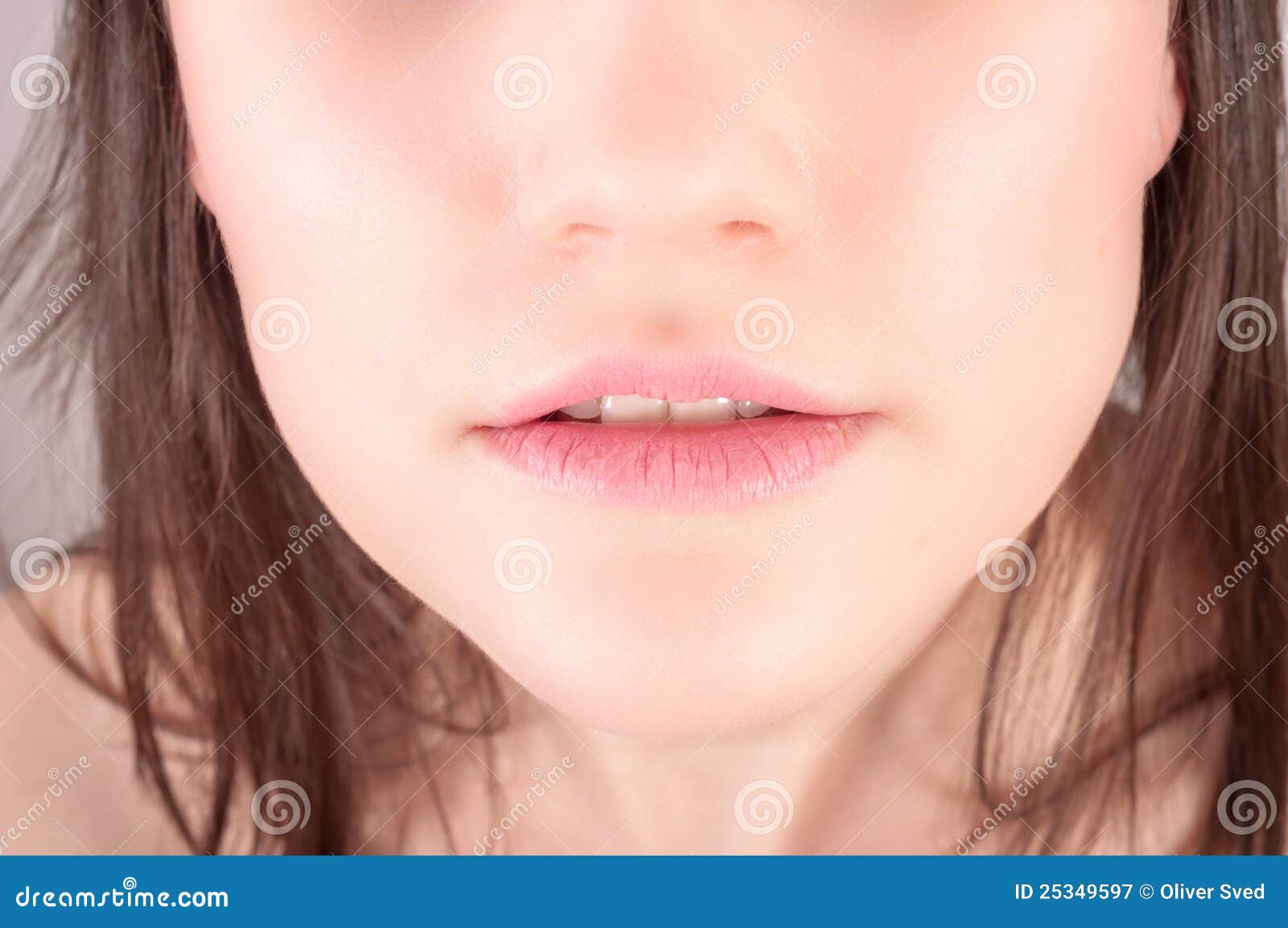 Lower Face of a Young Woman Stock Image - Image of face, health: 25349597