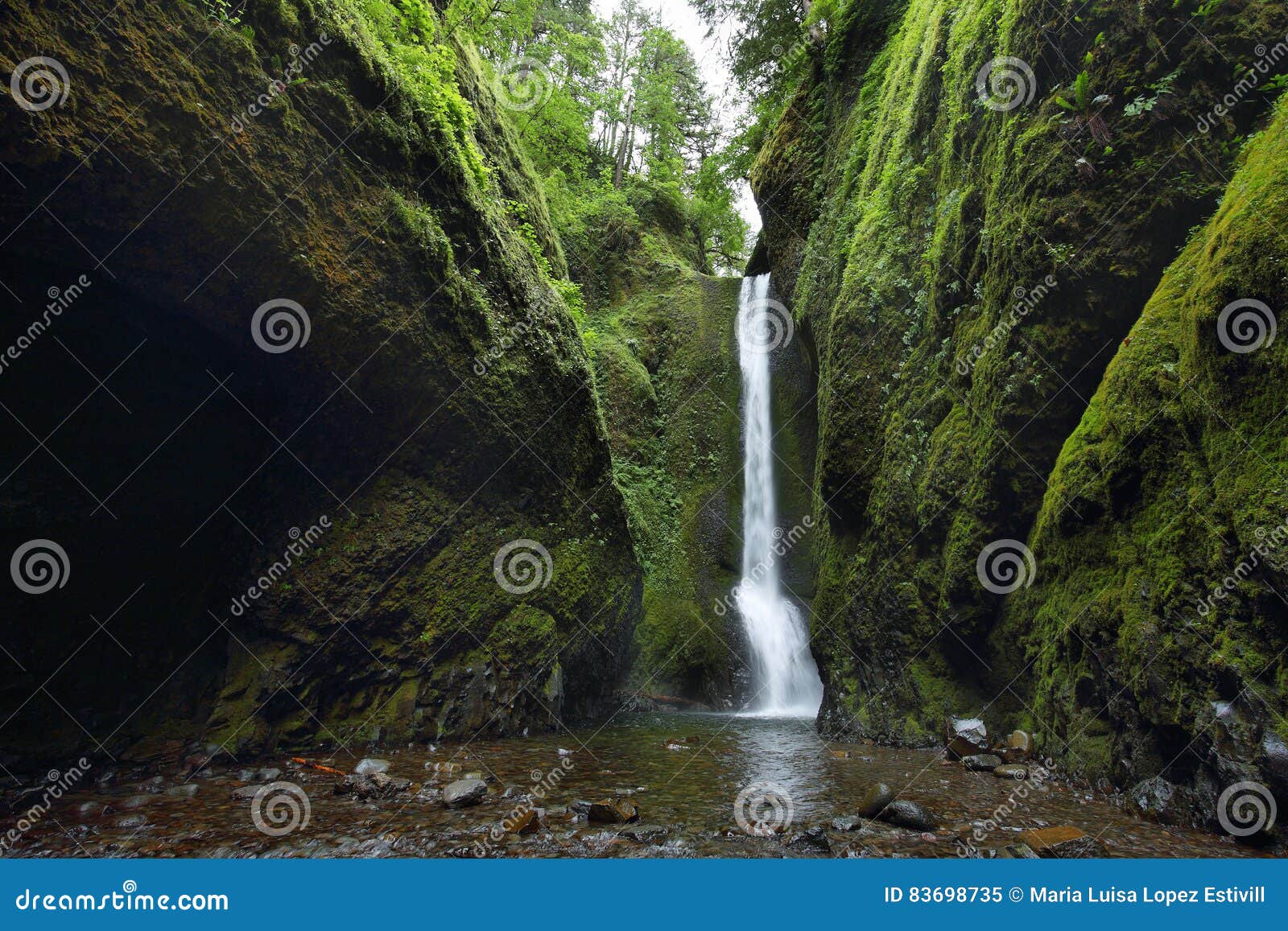 Lower Falls in Oneonta Gorge. Columbia River Gorge Stock Image - Image ...