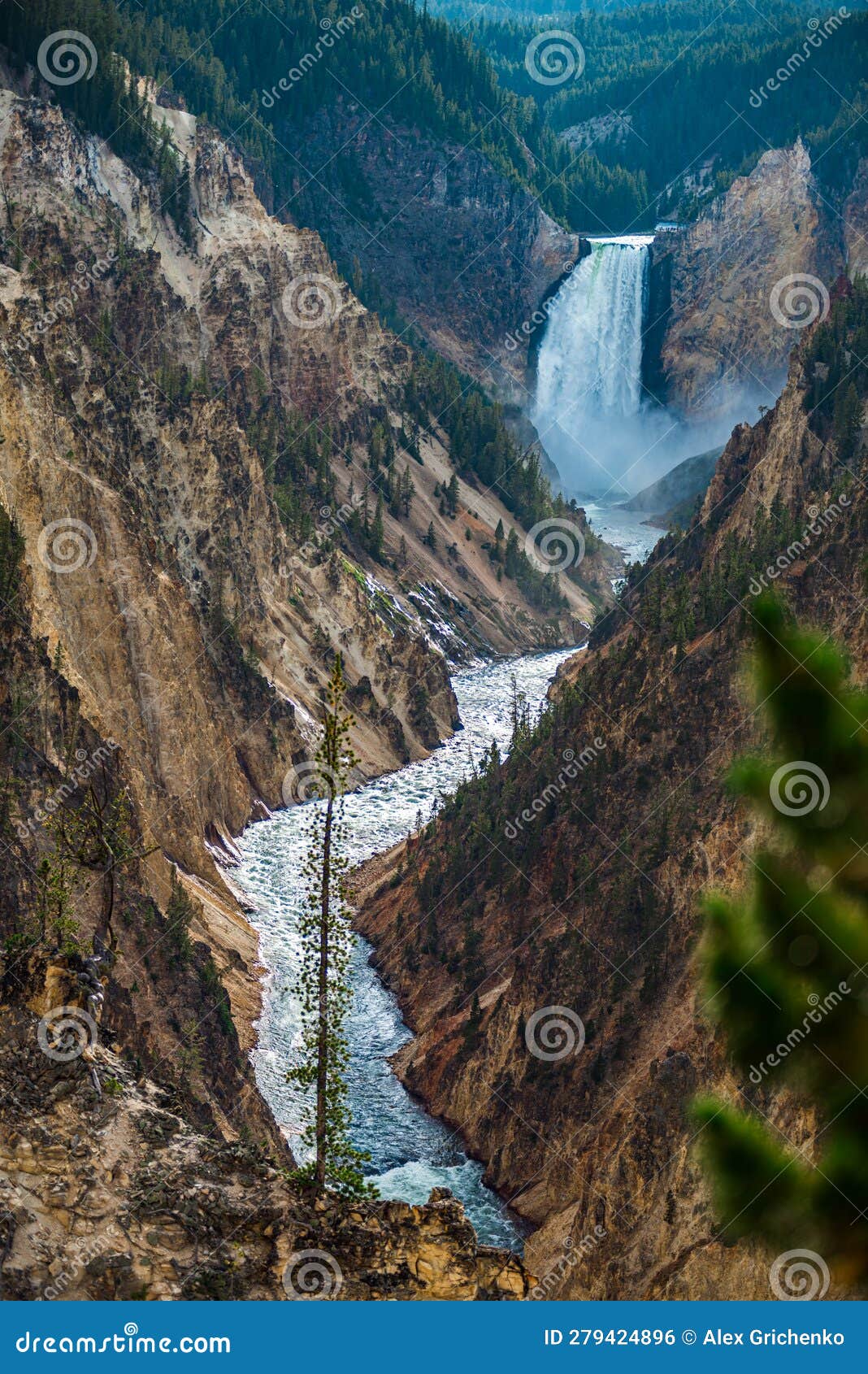Lower Falls of the Yellowstone from Artist Point Stock Photo - Image of ...