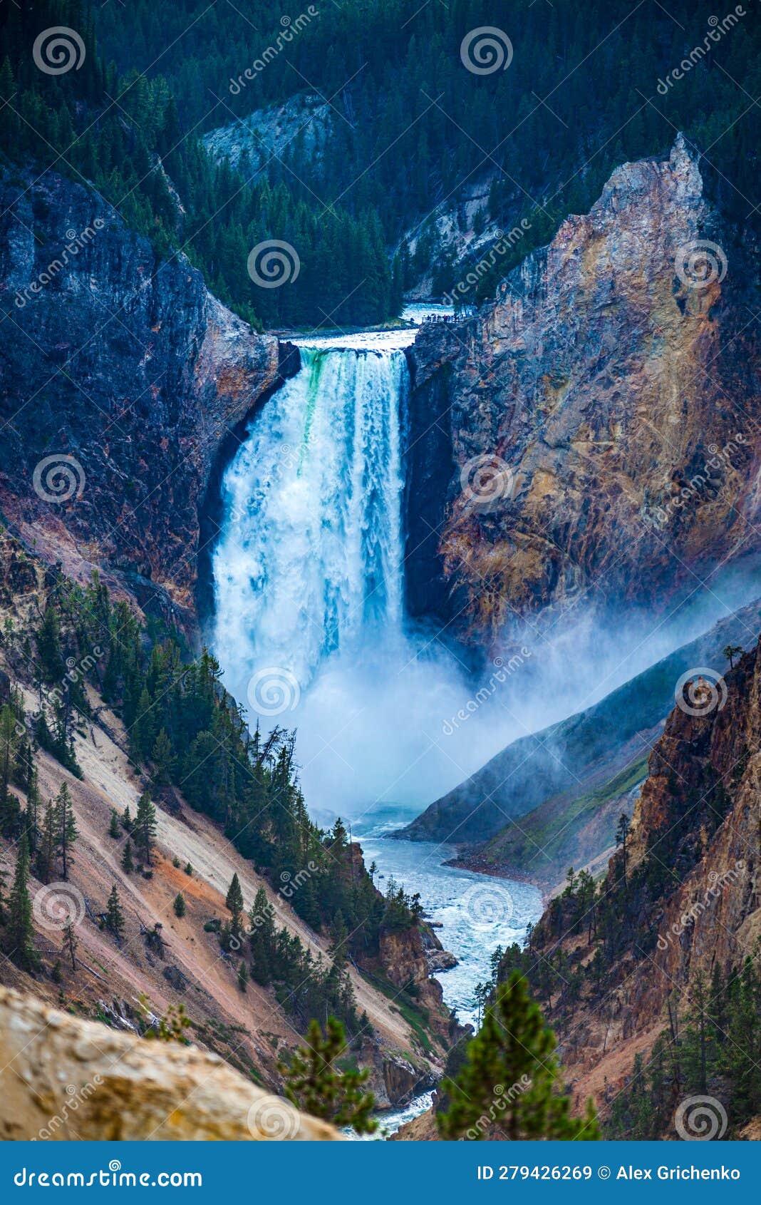 Lower Falls of the Yellowstone from Artist Point Stock Image - Image of ...