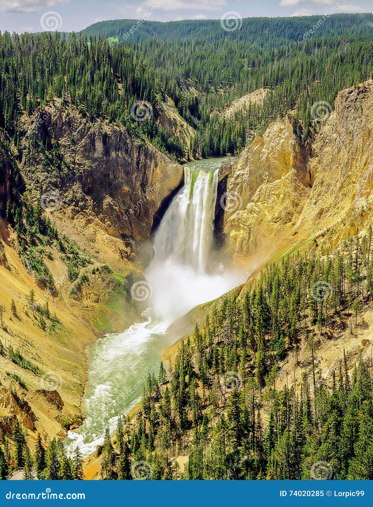 Lower Falls, Yellowstone National Park, Wyoming, Stock Image - Image of ...