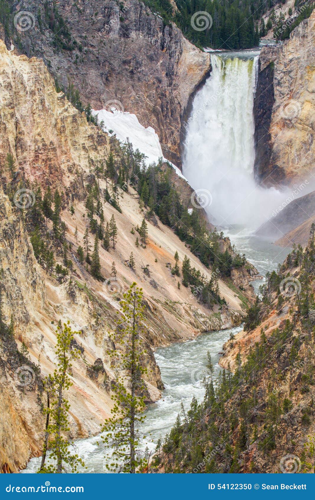 Lower Falls of the Yellowstone Stock Photo - Image of portrait, wyoming ...
