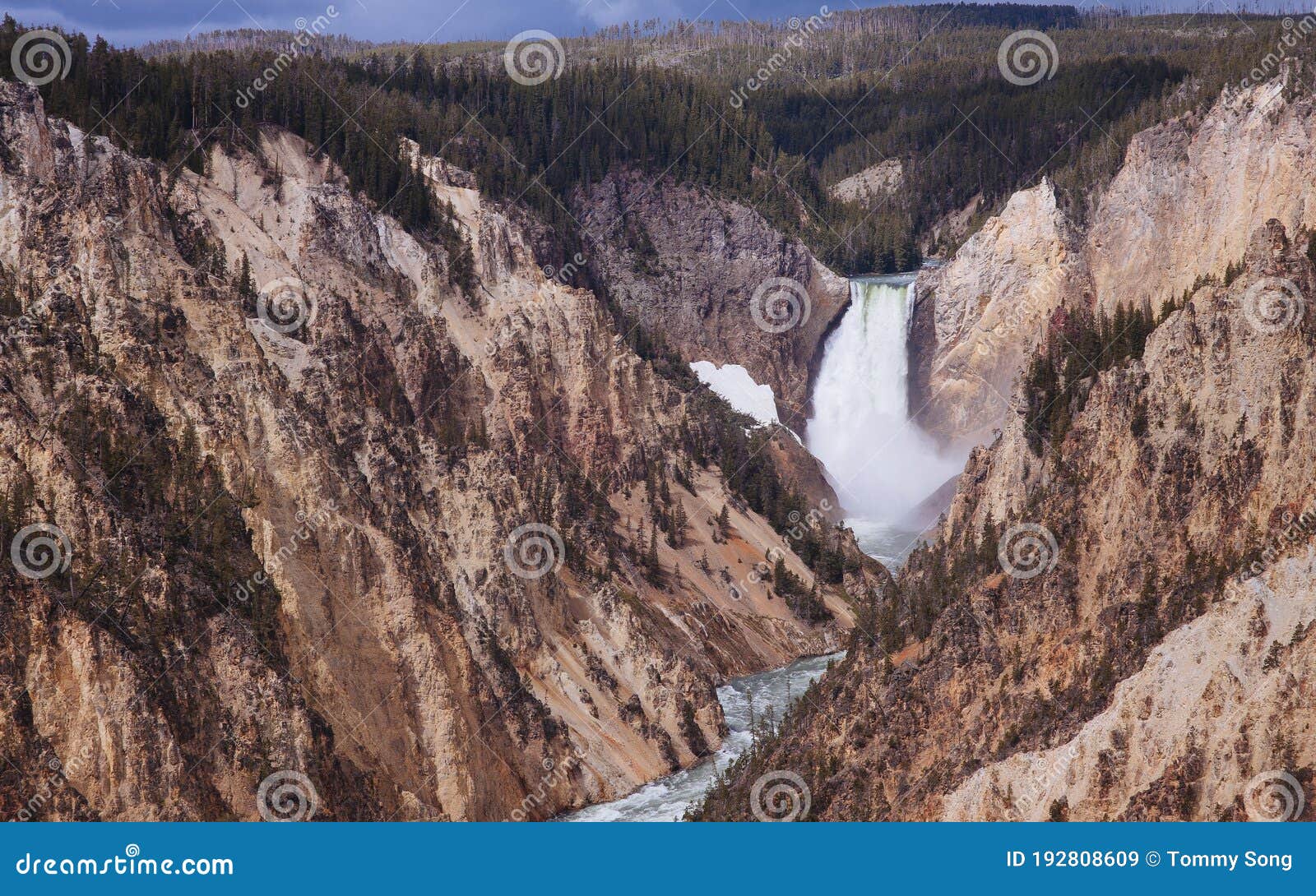 Lower Falls of the Yellowstone River Stock Image - Image of yellowstone ...