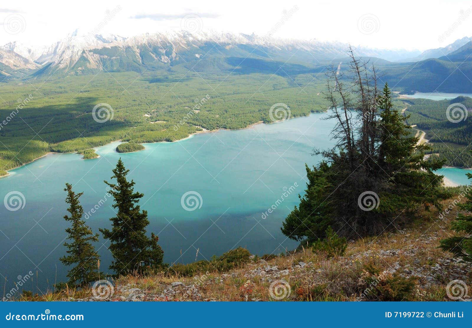 Lower Lake stock photo. Image of highway, afternoon, bird - 7199722