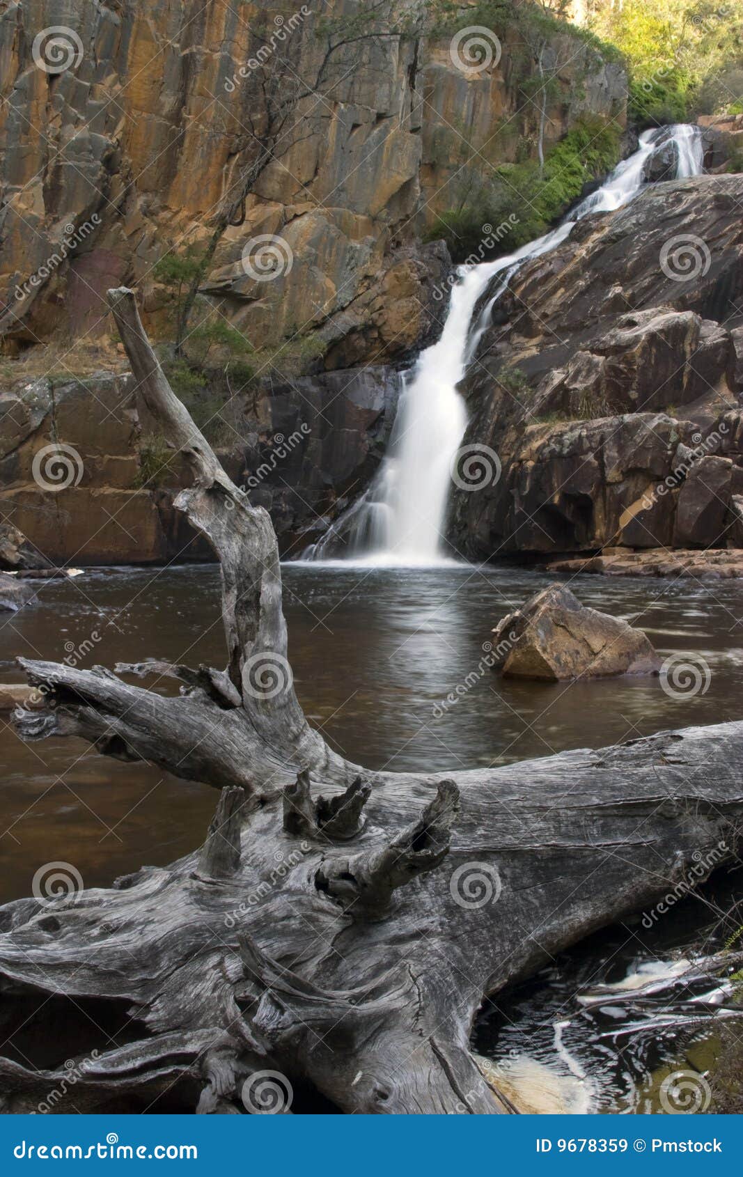 Lower McKenzie waterfall stock image. Image of victoria - 9678359