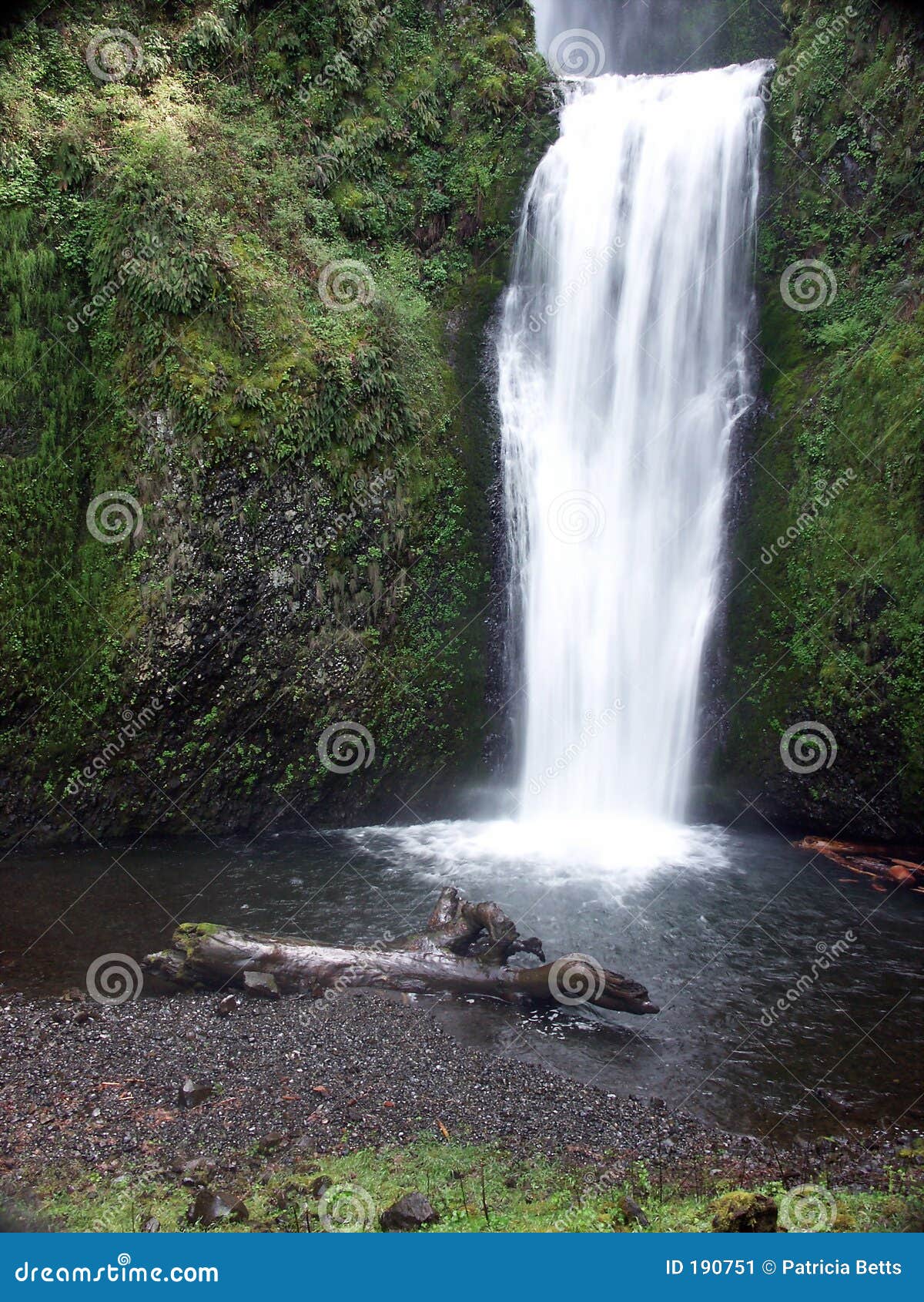 Lower Multnomah Falls stock image. Image of oregon, river - 190751
