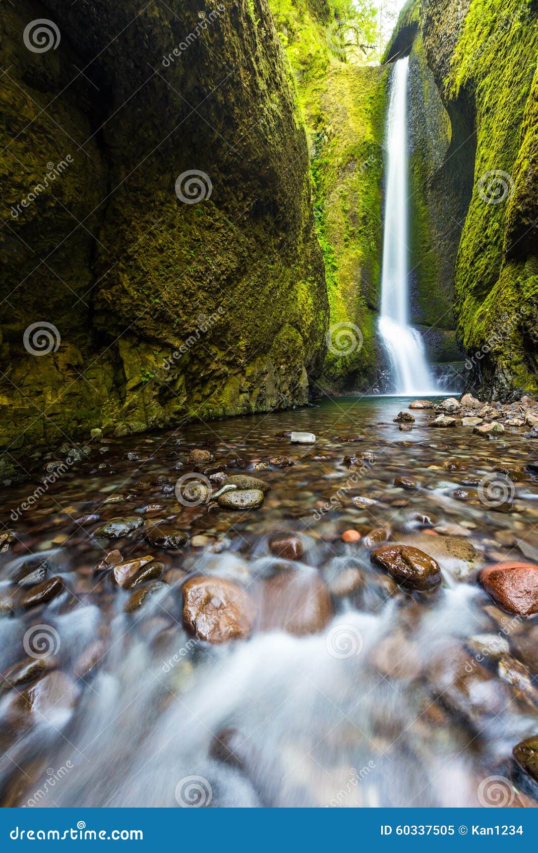 Lower Oneonta Falls in Summer, Columbia River Gorge, Oregon. Stock ...