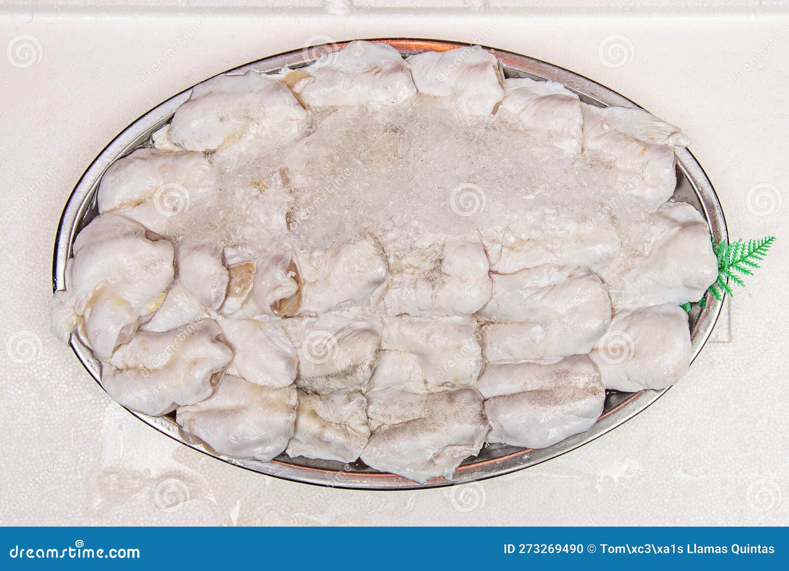 The Lower Part of the Chin of the Hake or Cod is Called Cococha Stock ...