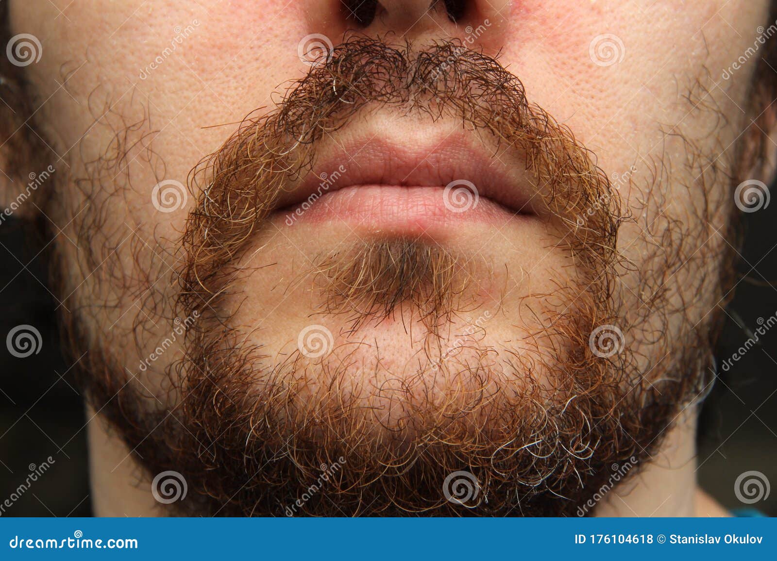 The Lower Part of the Face of a White Man with a Beard and Mustache ...