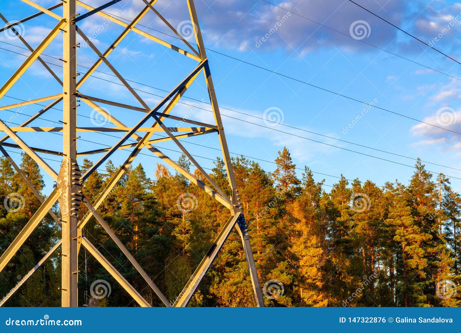 Lower Part of the Pylon Against the Background of the Forest and Blue ...