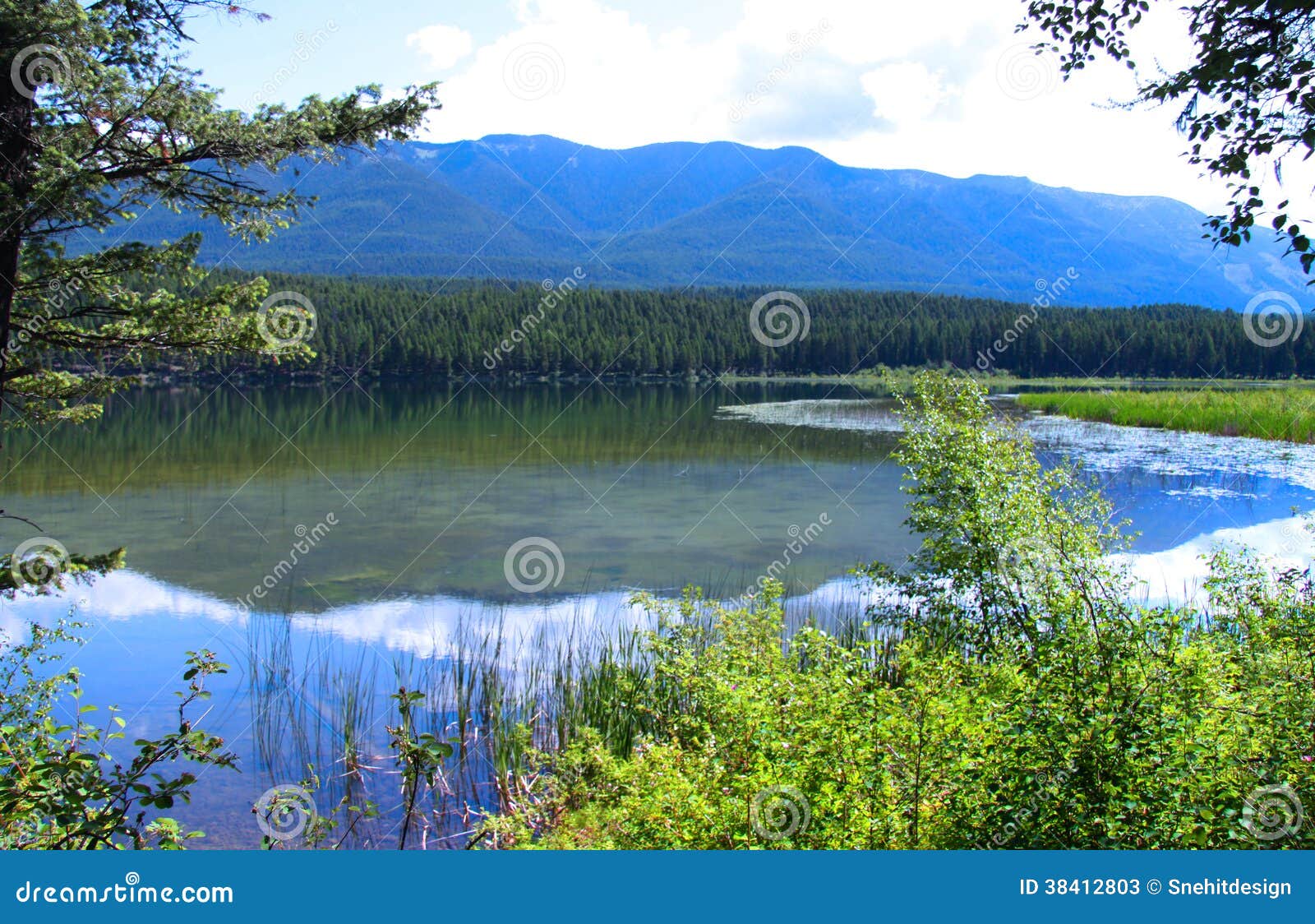 Lower still water lake stock image. Image of still, nature - 38412803
