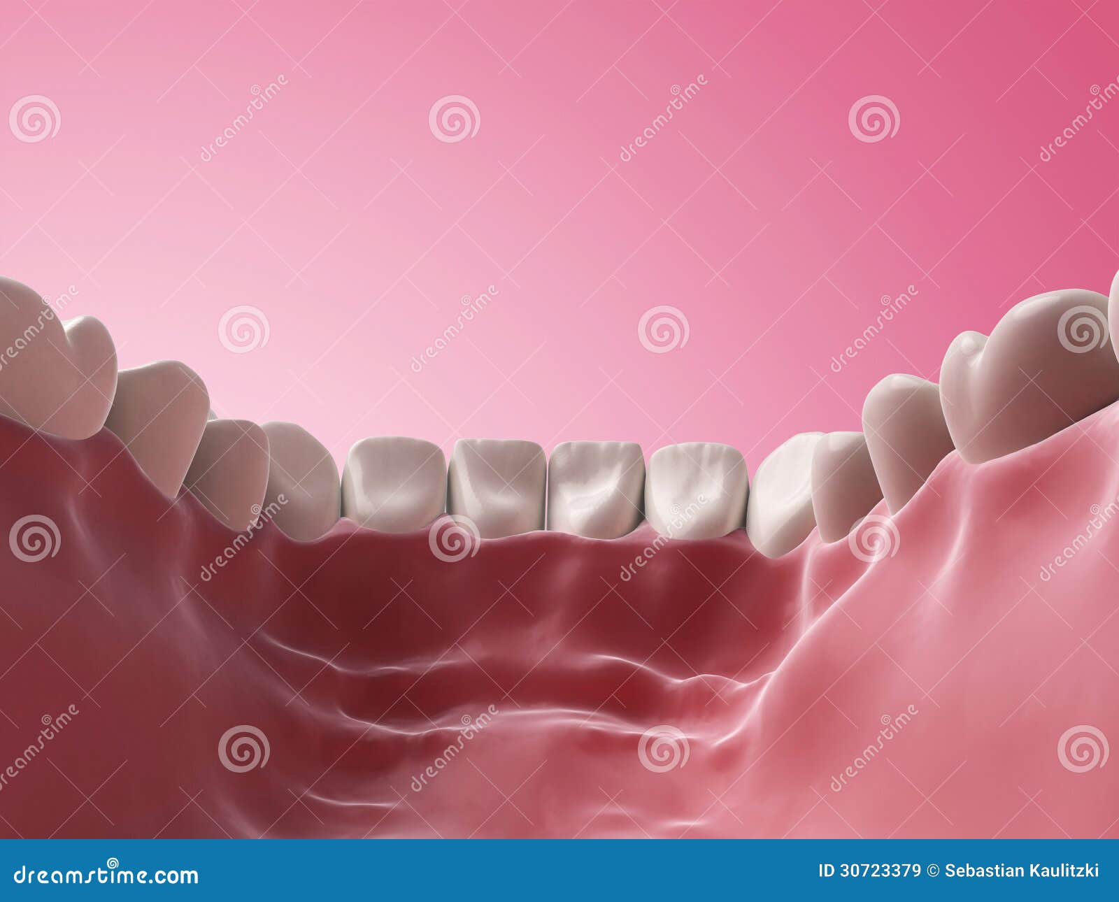 Lower teeth stock illustration. Illustration of body - 30723379