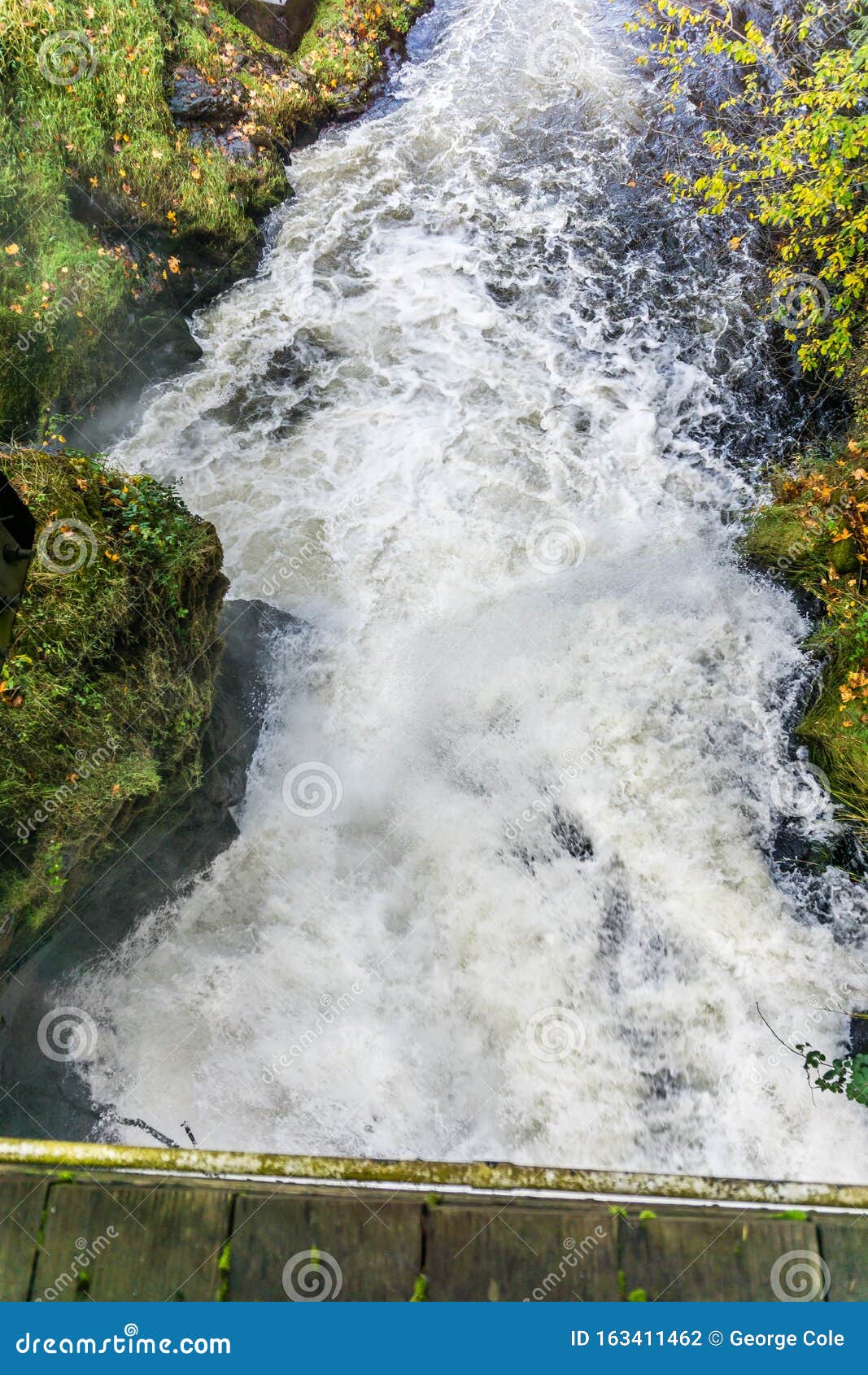 Tumwater Falls Park Whitewater 2 Stock Photo - Image of park, state ...