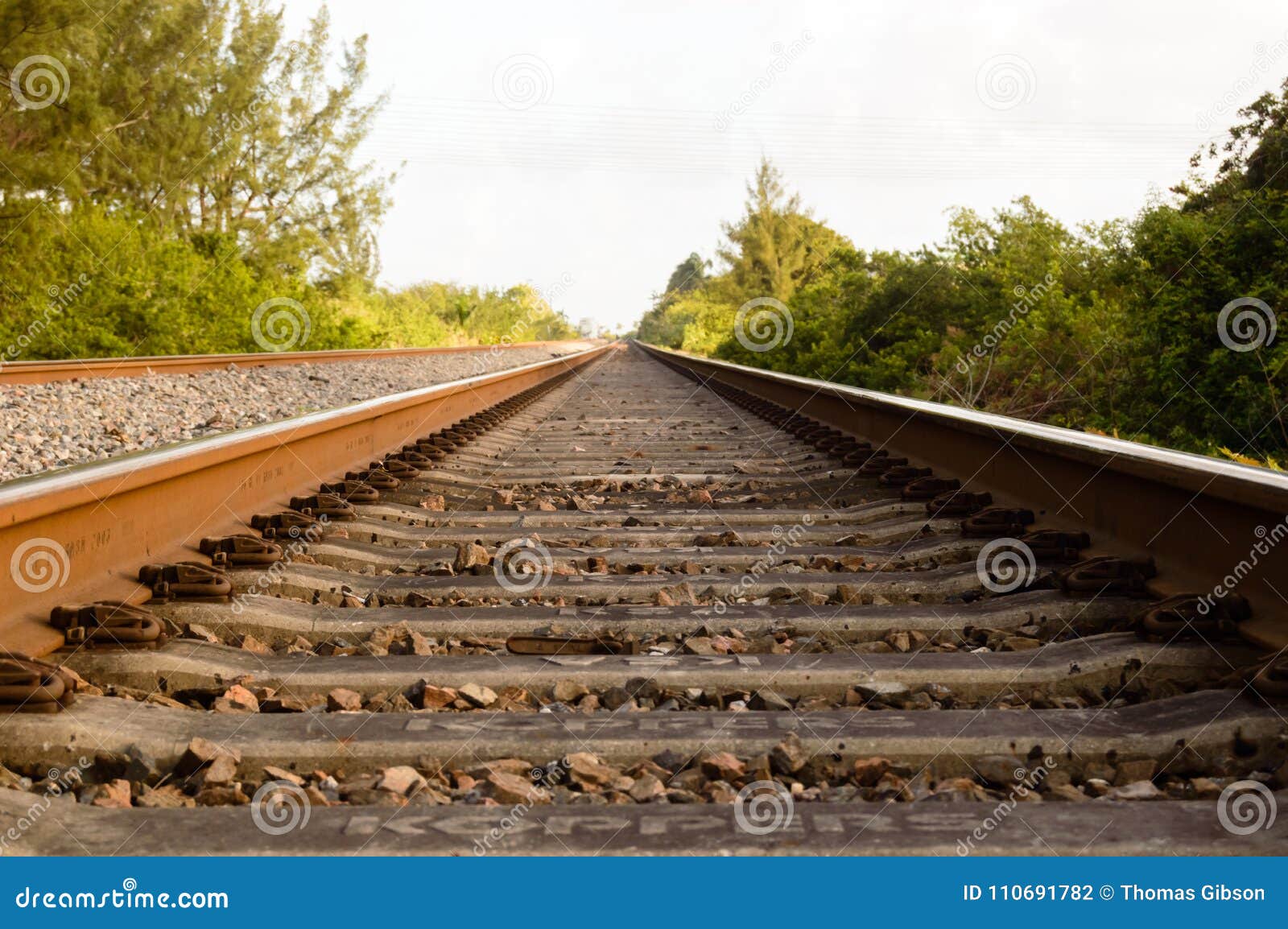 Ground view railroad stock photo. Image of background - 110691782