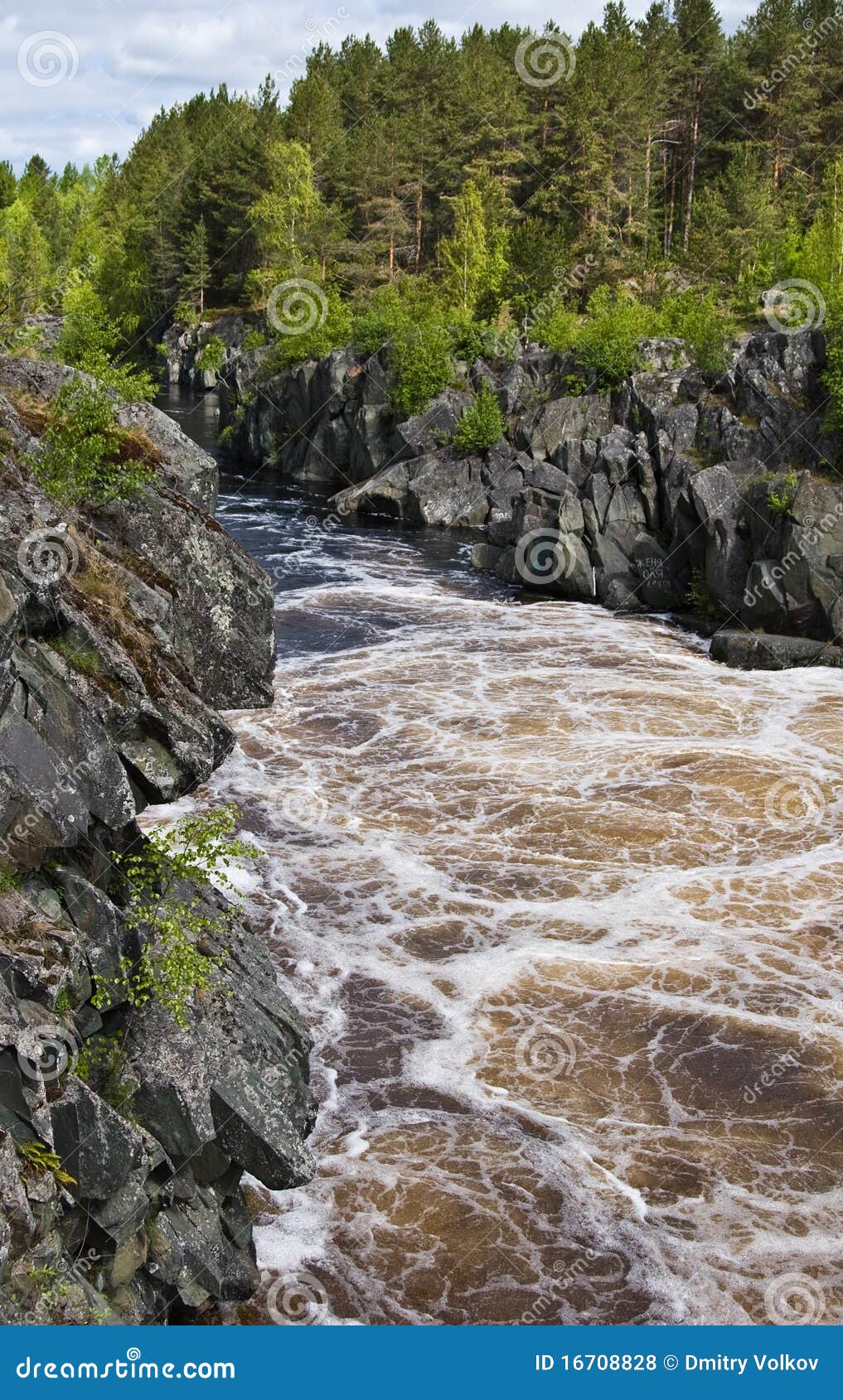 Lower Vyg River in Nadvoitsy Settlement Stock Photo - Image of vertical ...