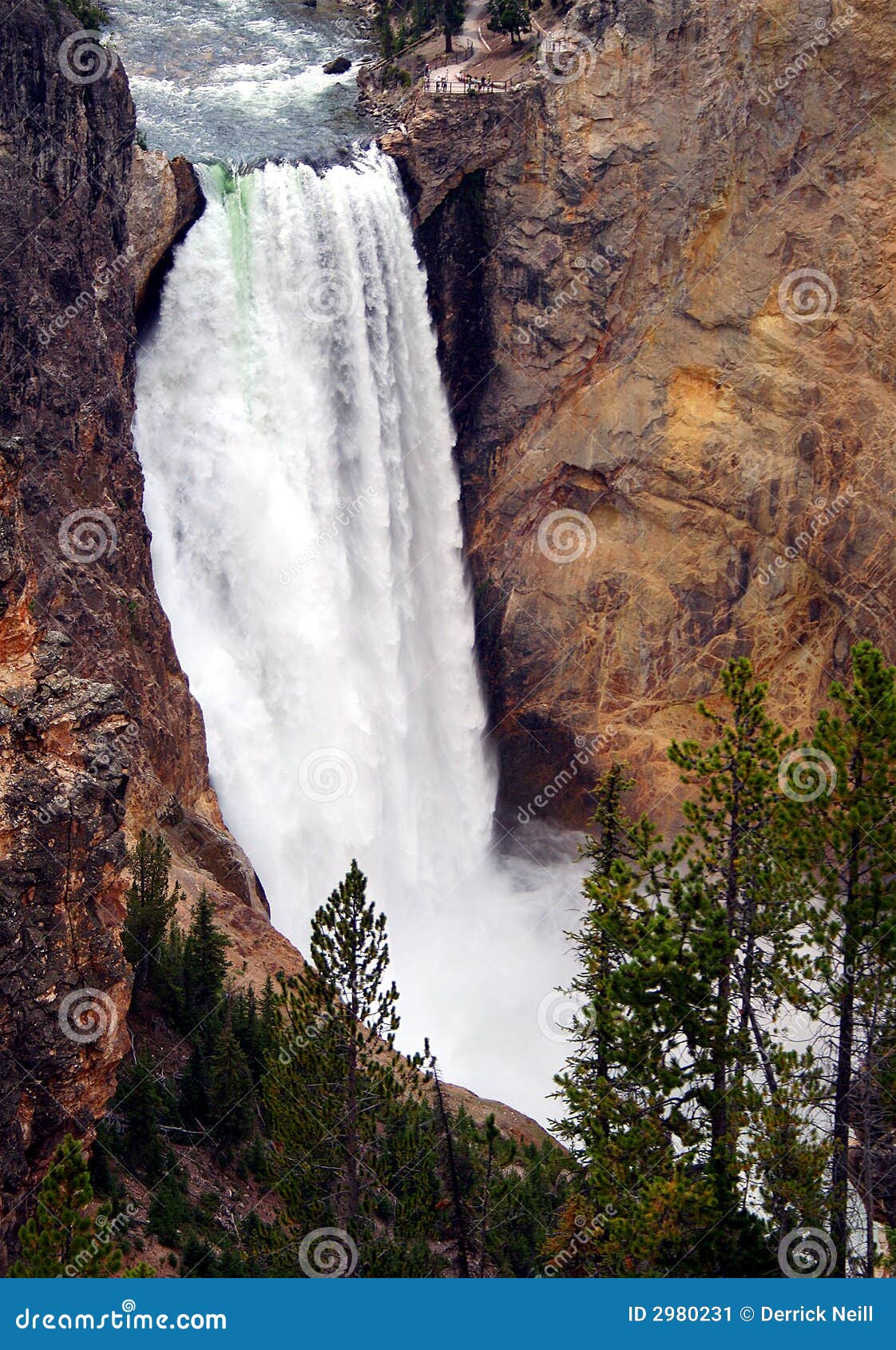 Lower Yellowstone Waterfall Falls In Canyon National Park Stock ...