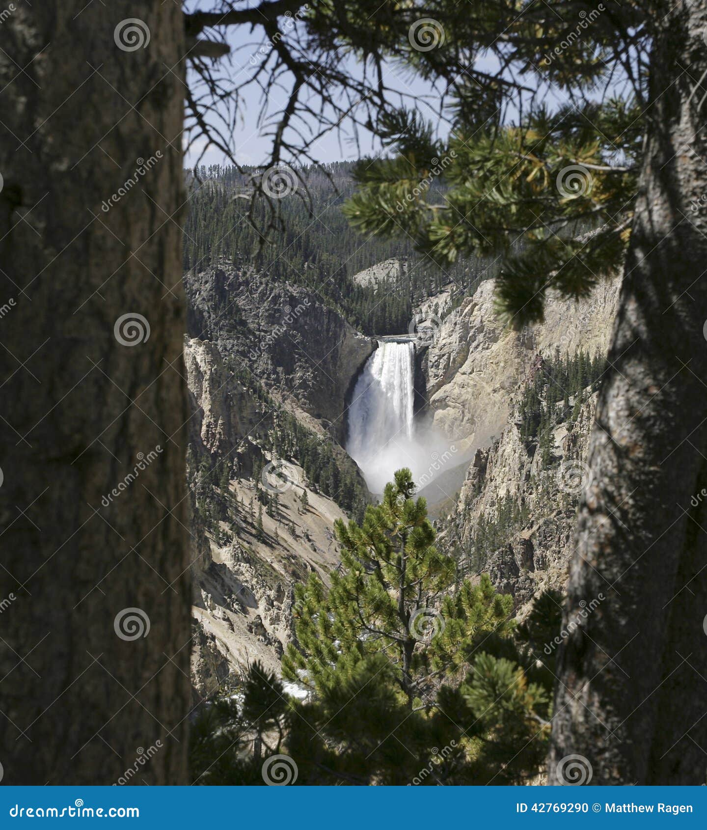 Lower Yellowstone Falls stock photo. Image of location - 42769290