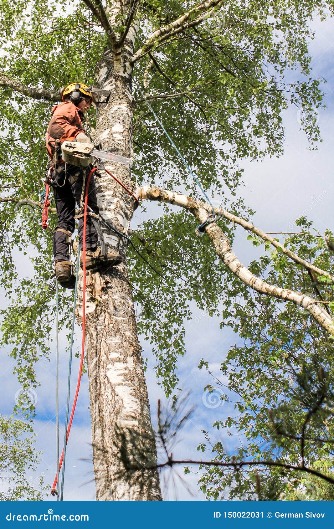 Lowering Branches on the Rope Editorial Photo - Image of environment, glasses: 150022031