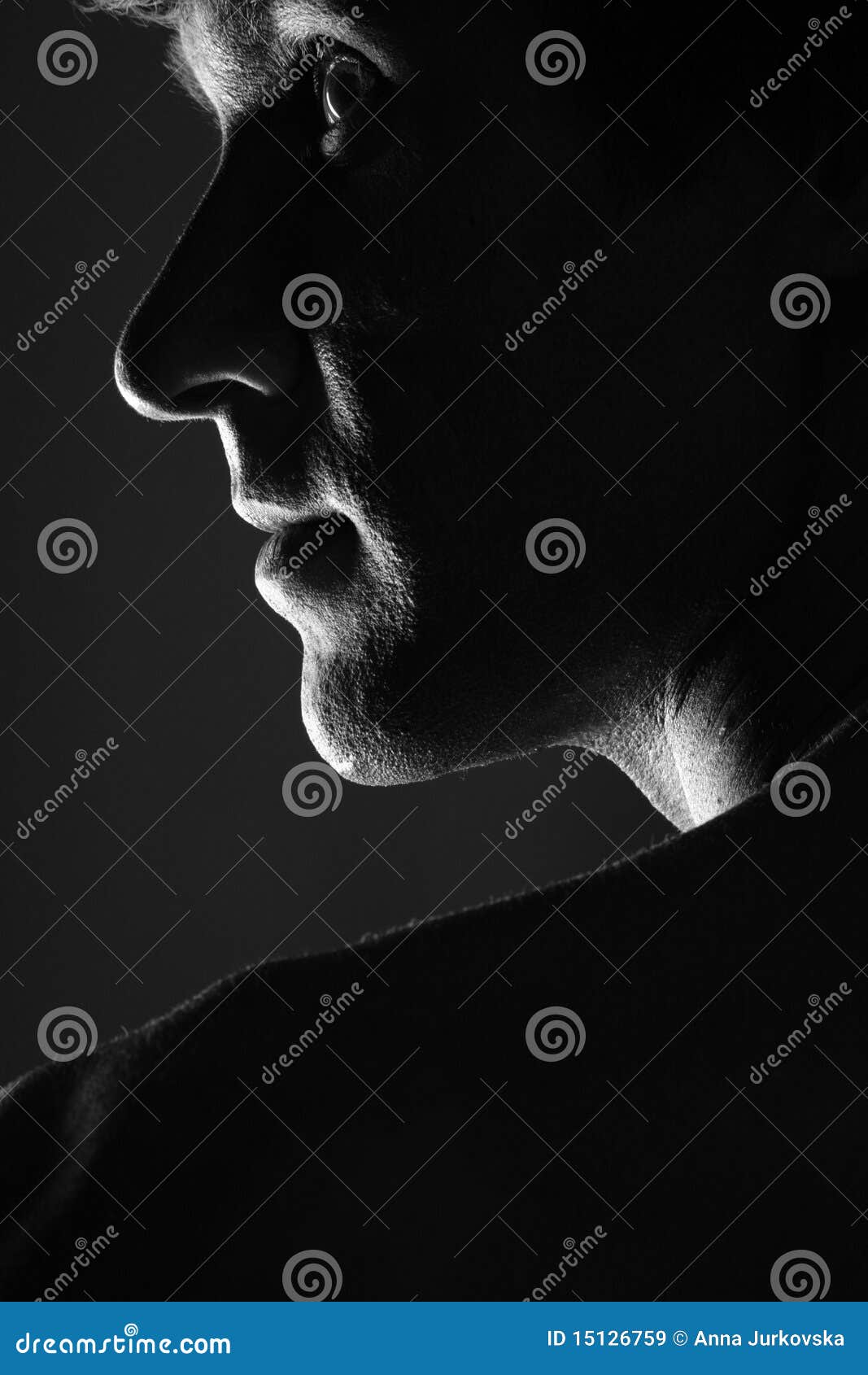 Lowkey male portrait stock image. Image of skin, caucasian - 15126759