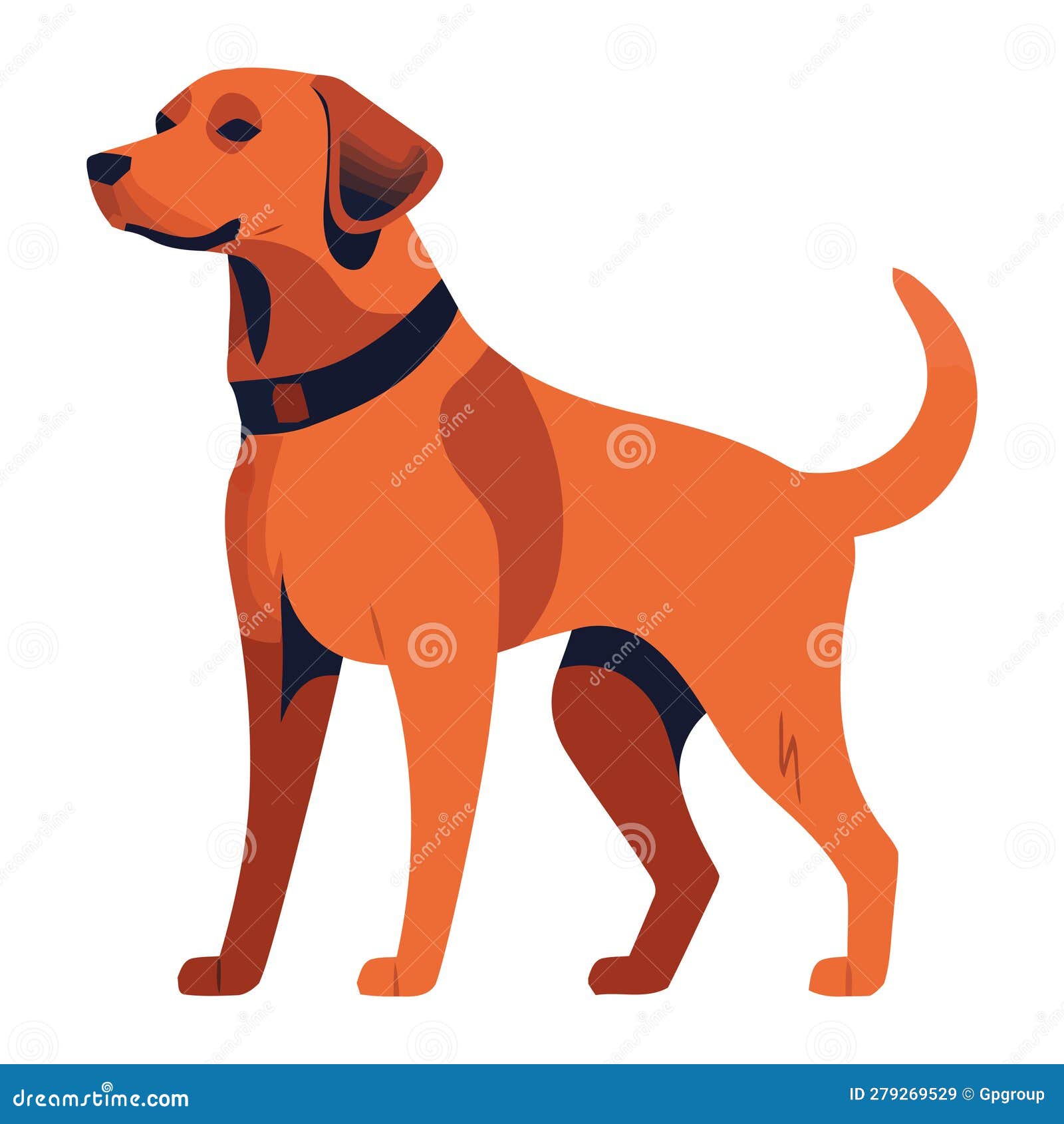 Loyal Labrador standing stock vector. Illustration of obedience - 279269529