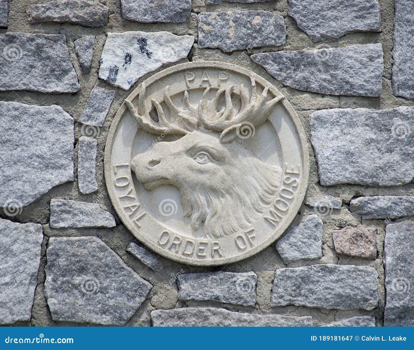 Loyal Order of the Moose Seal Editorial Photography - Image of special ...