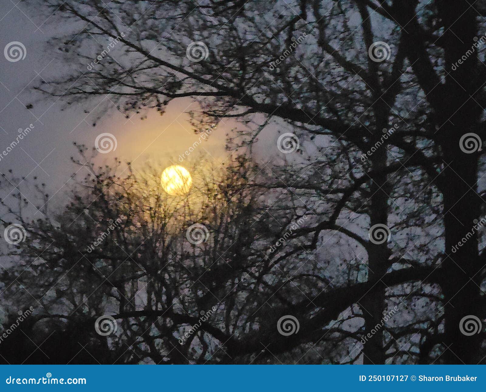 Lua cheia assustadora imagem de stock. Imagem de céu - 250107127