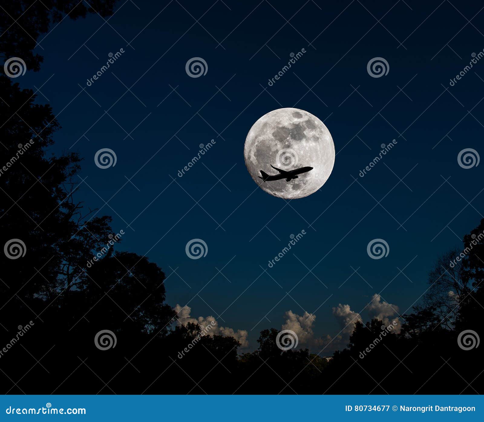 Lua Cheia E Plano Da Silhueta Imagem de Stock - Imagem de redondo ...