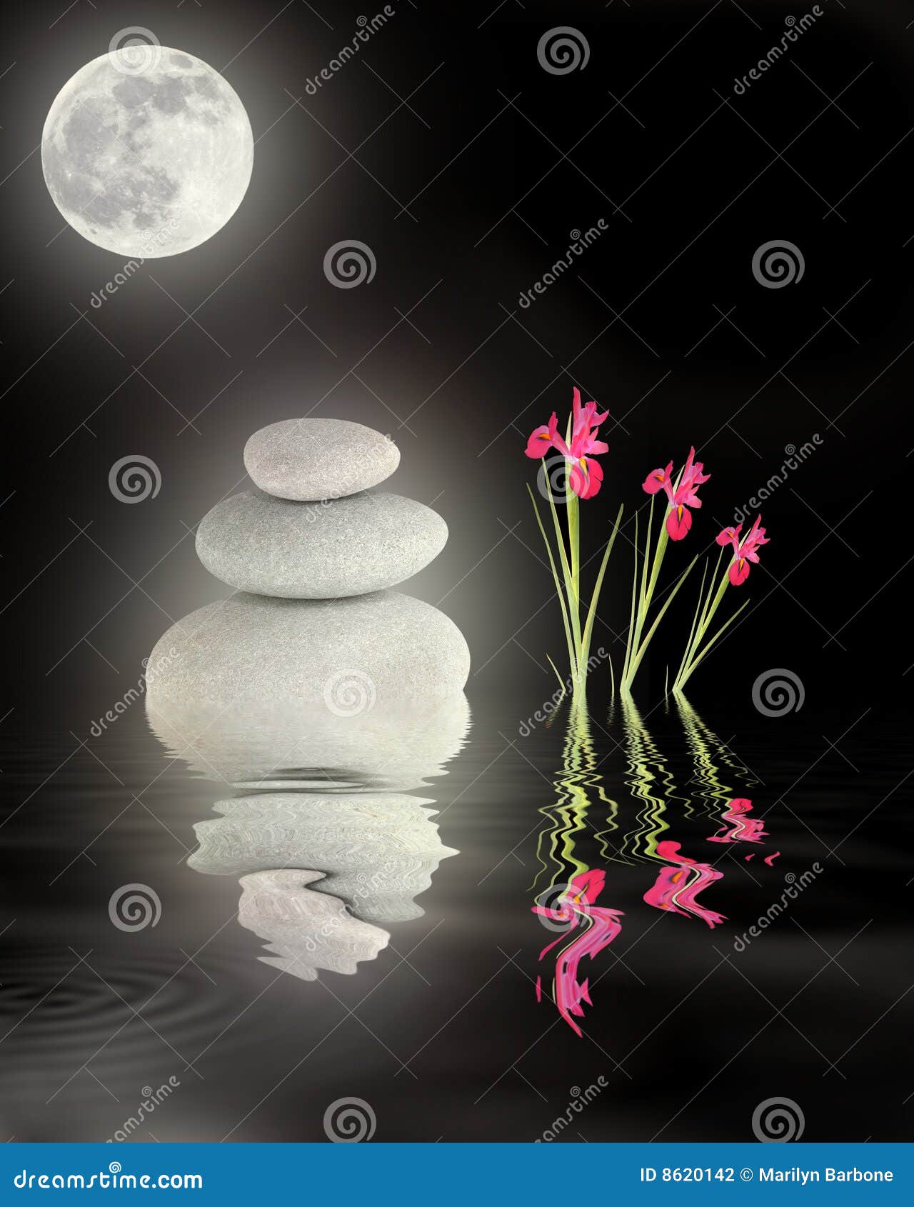 Lua Cheia Sobre O Jardim Do Zen Ilustração Stock - Ilustração de ...
