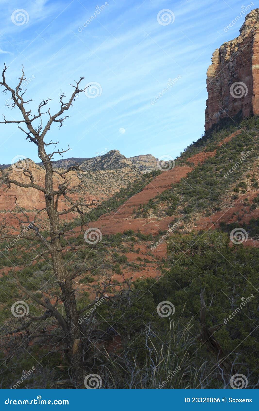 Lua Cheia Sobre Rochas Vermelhas Foto de Stock - Imagem de vermelho ...