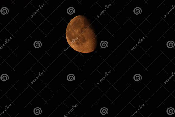 Lua dourada no céu escuro foto de stock. Imagem de preto - 6814682
