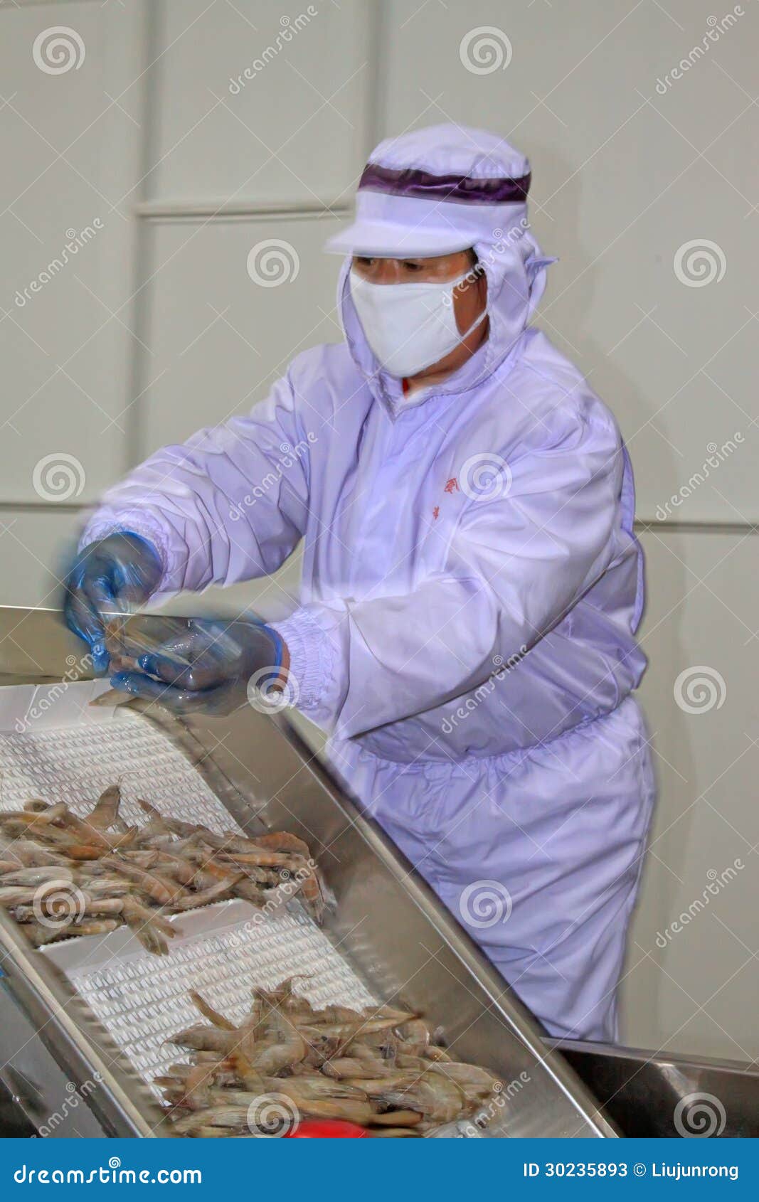 Workers Working in the Prawn Processing Line in a Seafood Processing ...