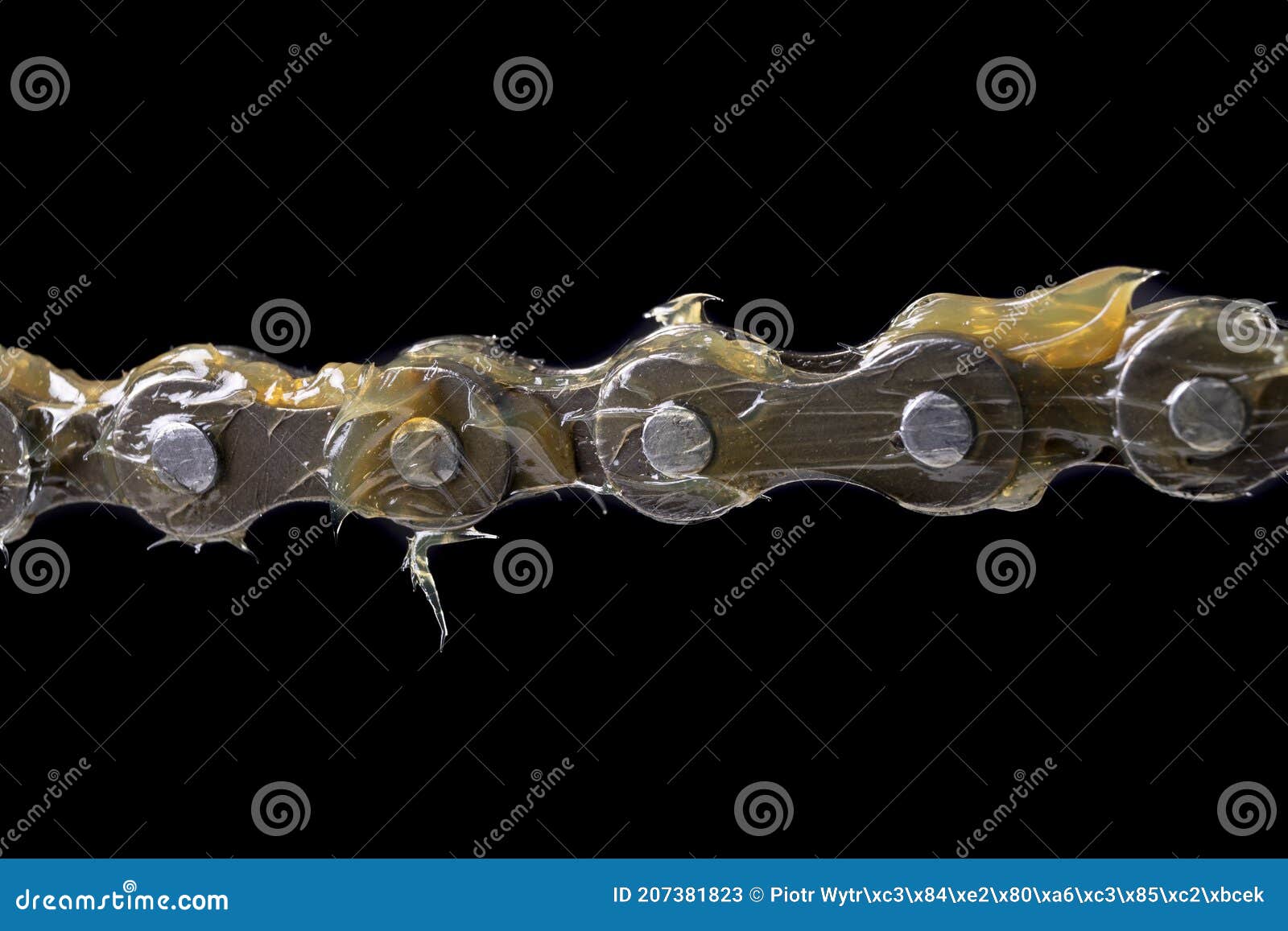 Lubricate the Bicycle Chain with Grease. Service Work Carried Out in a ...