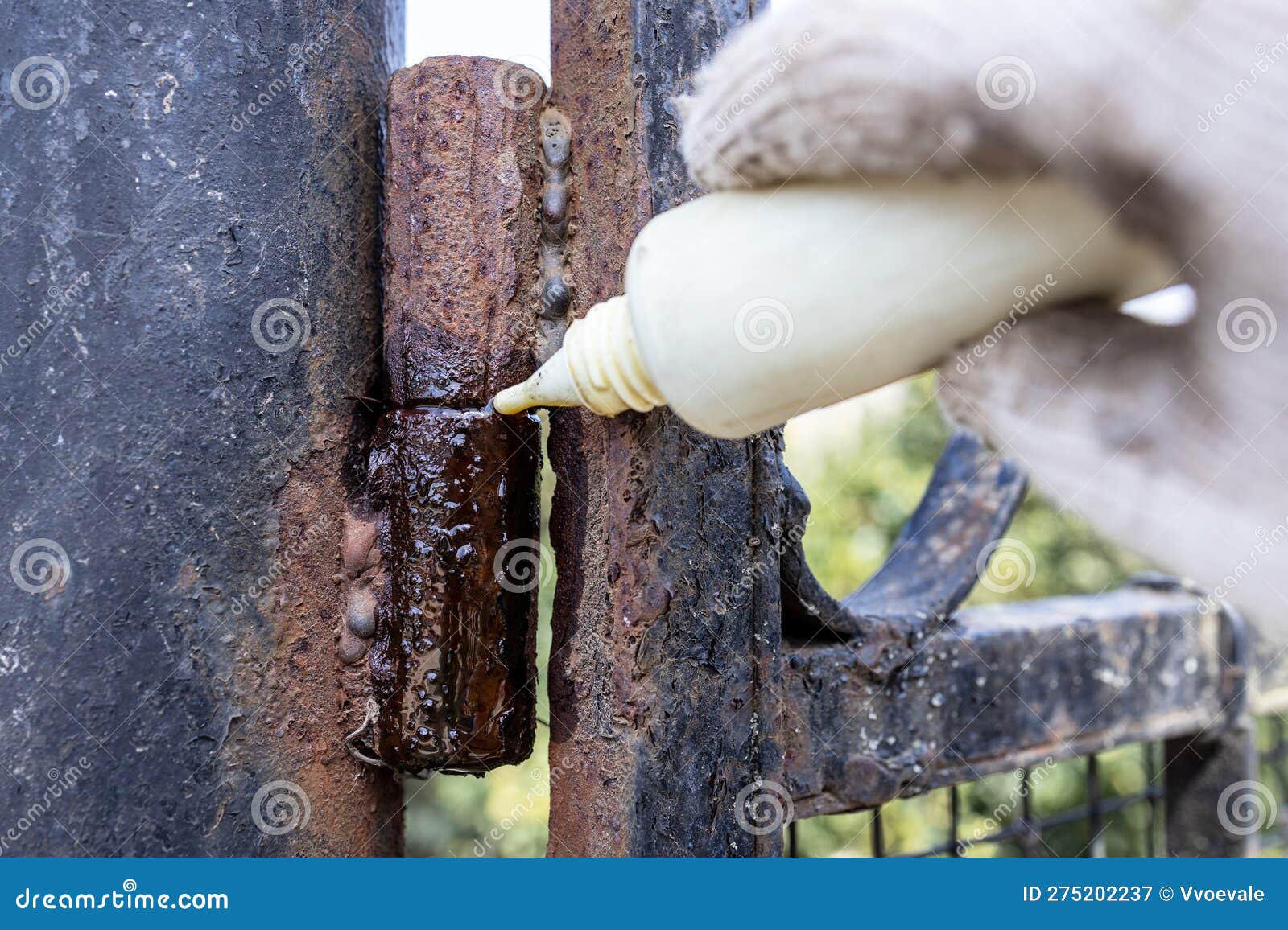 Lubricating of Rusty Gate Hinge with Oil Outdoors Stock Image - Image ...