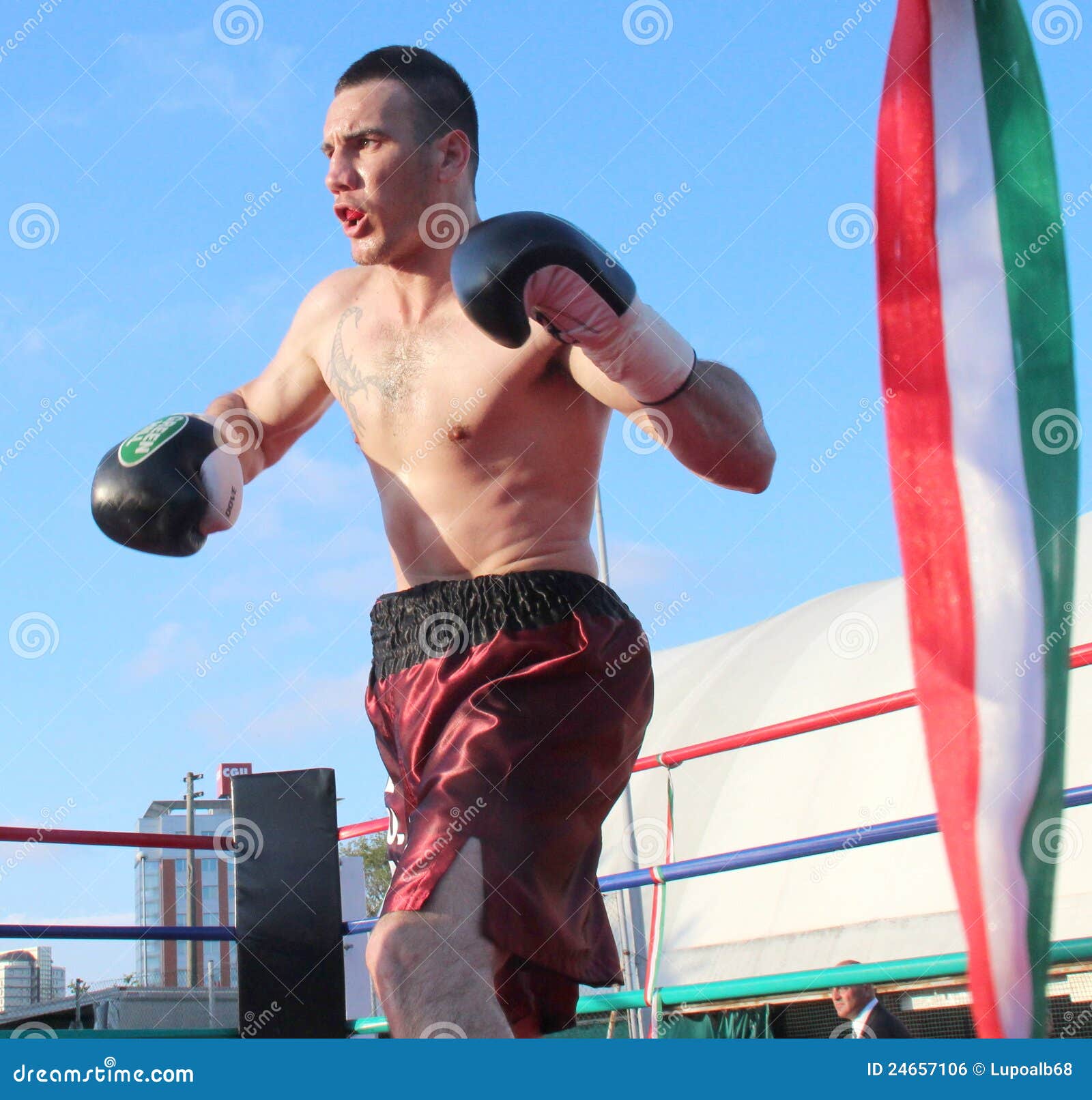 Luca Tassi boxer editorial photo. Image of action, luca - 24657106