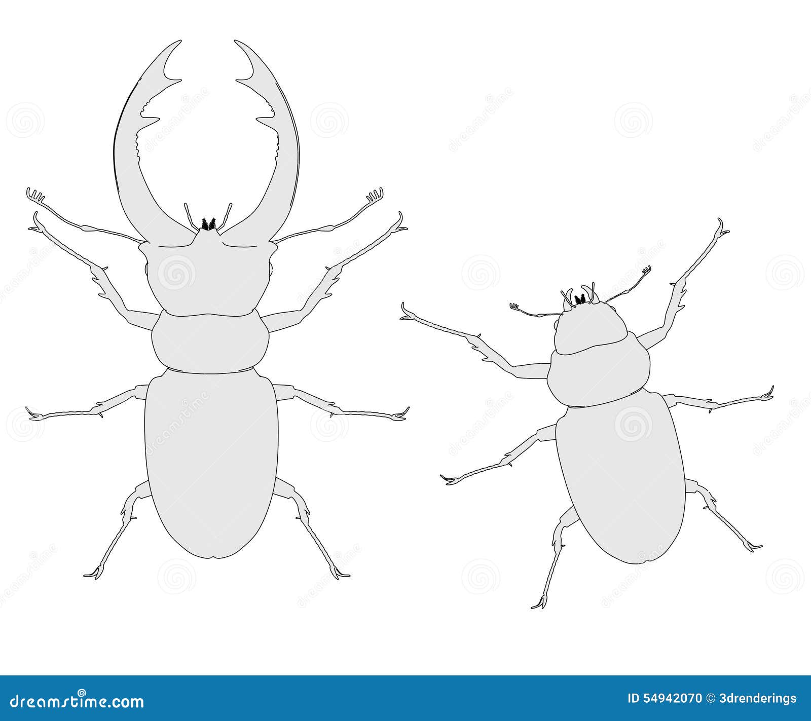 Lucanus cervus stock illustration. Illustration of lucanus - 54942070