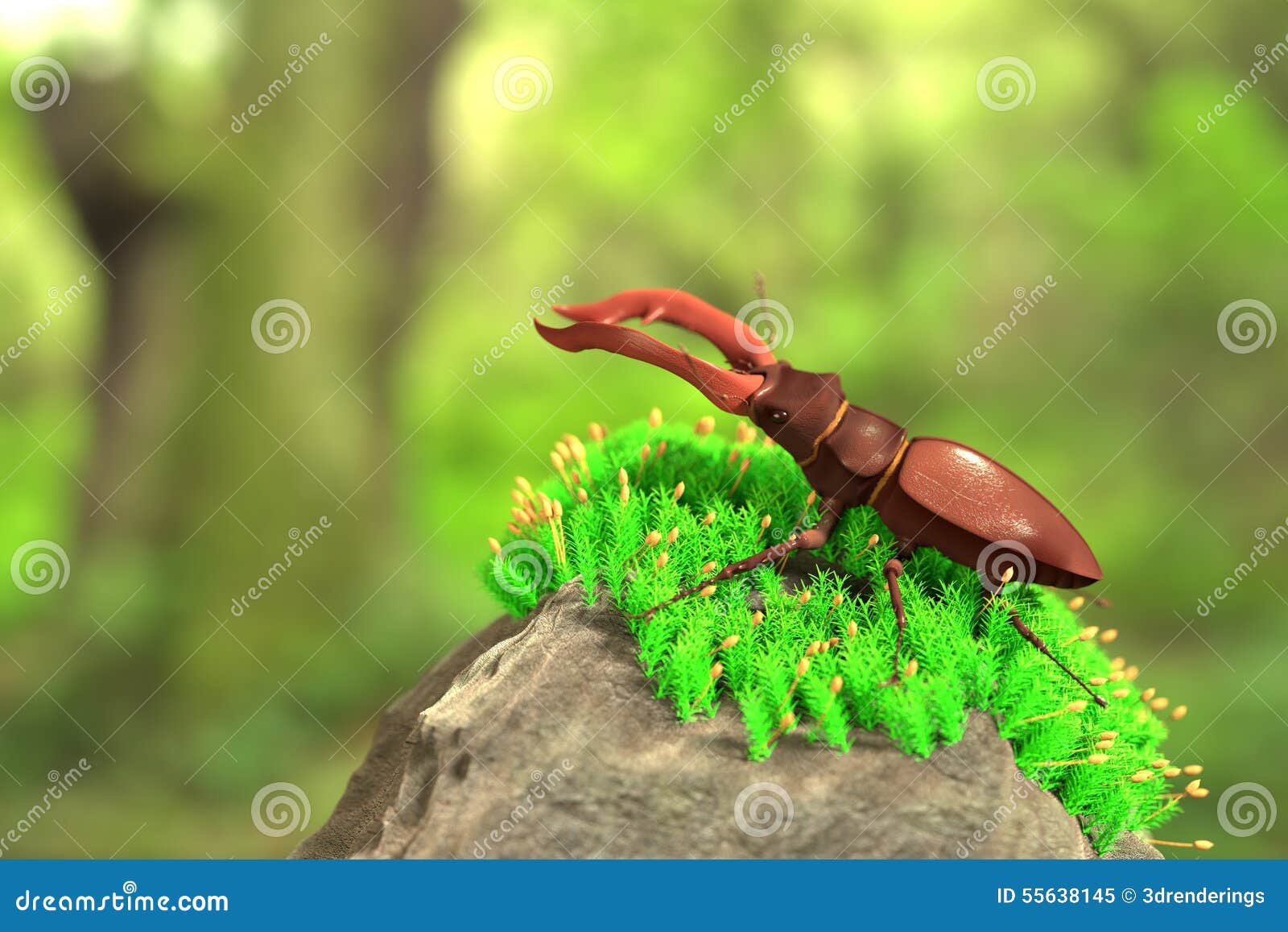 Lucanus cervus stock illustration. Illustration of stag - 55638145