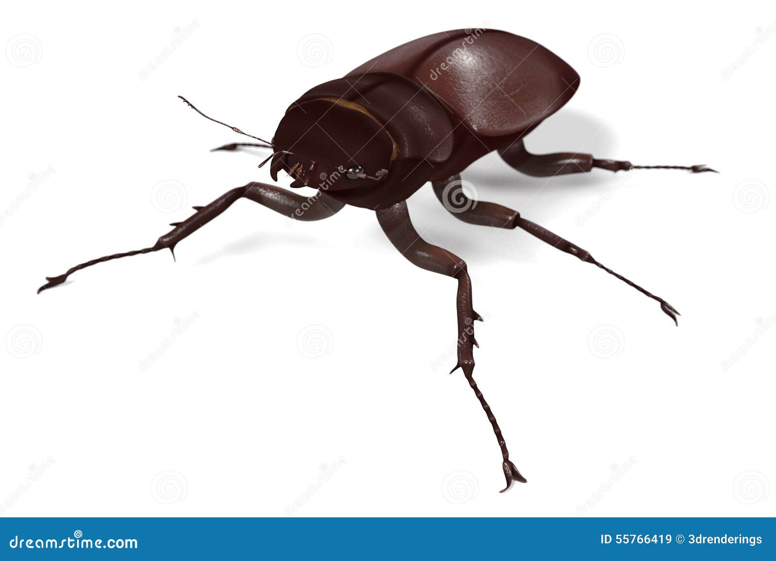 Lucanus Cervus. Vector Drawing | CartoonDealer.com #123117996