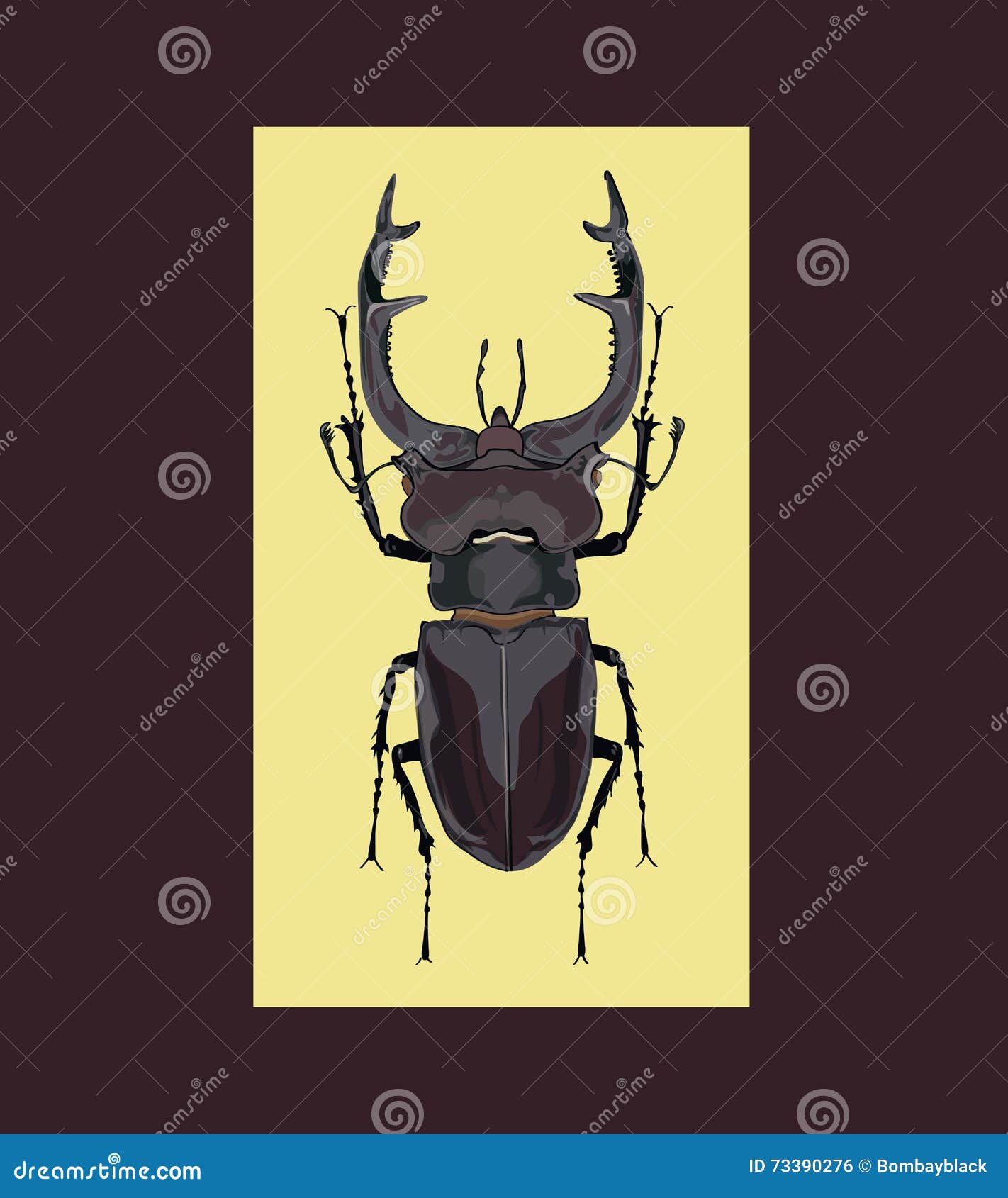 Lucanus Cervus Illustration Stock Illustration - Illustration of ...