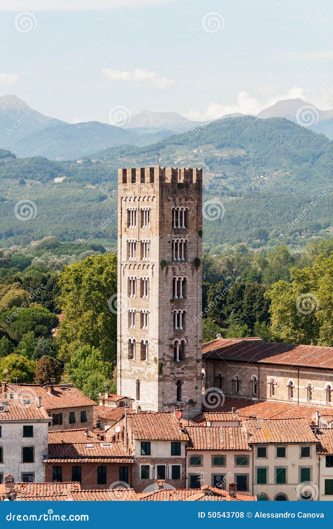 Lucca, the Bell Tower of the Basilica of St. Frediano Stock Photo ...