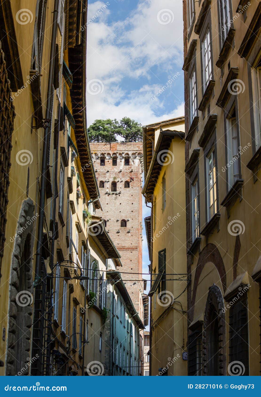 Lucca tower guinigi stock photo. Image of medieval, tower - 28271016