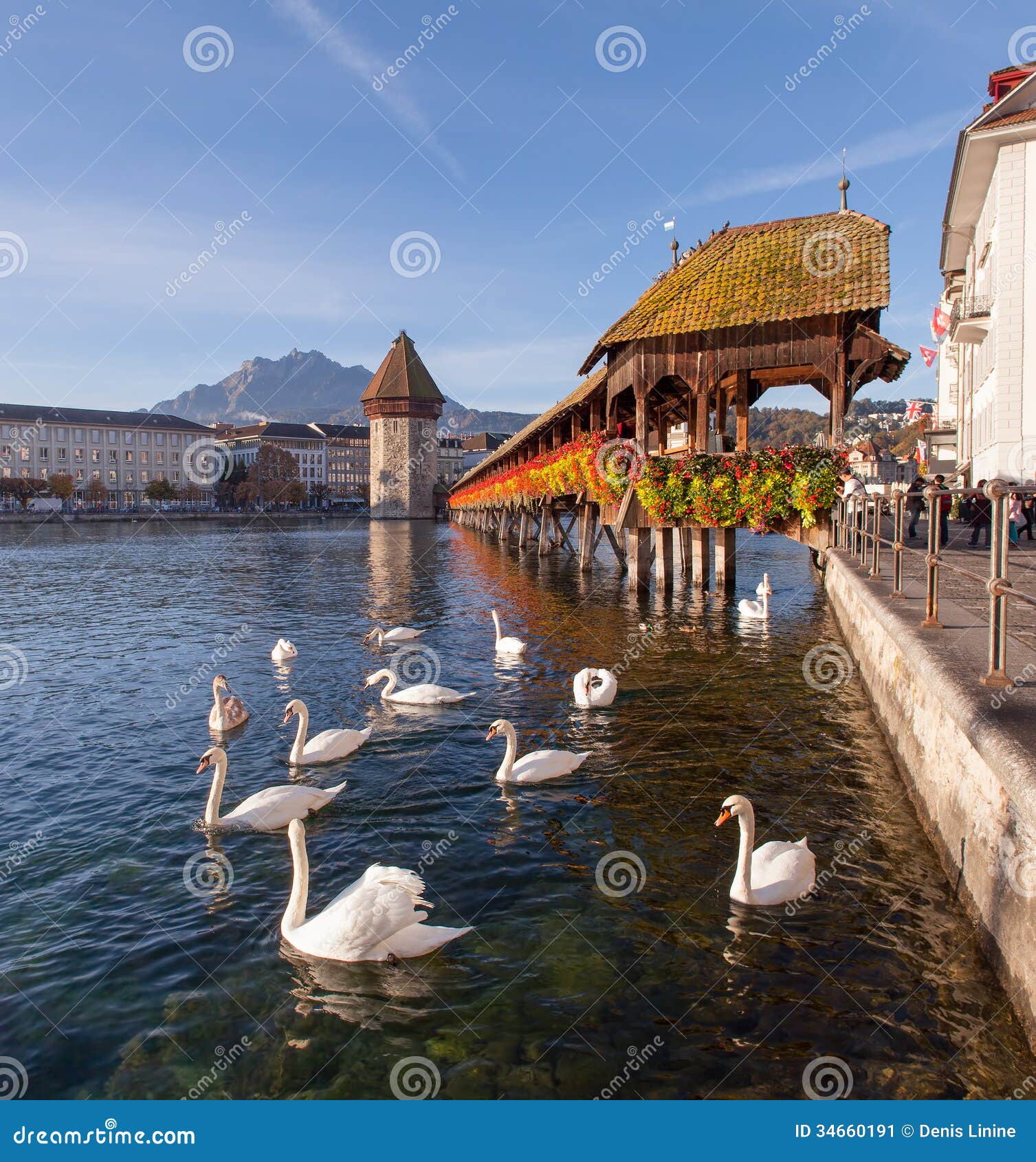 Lucerne, the Chapel Bridge stock image. Image of pier - 34660191