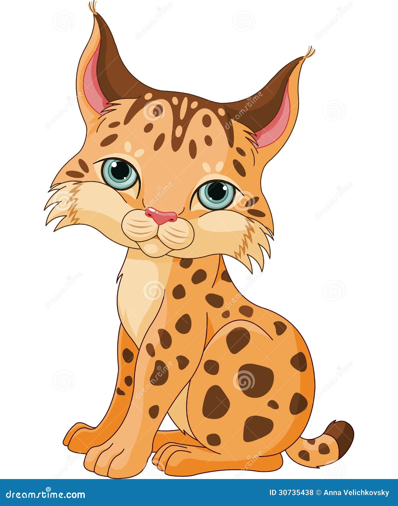 Luchs vektor abbildung. Illustration von vektor, nett - 30735438