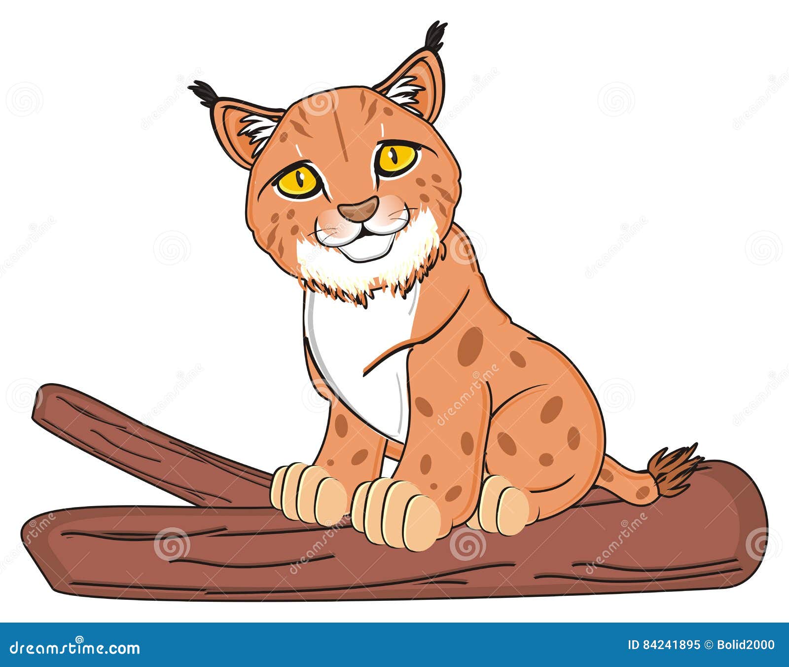 Luchs Auf Der Niederlassung Stock Abbildung - Illustration von ...